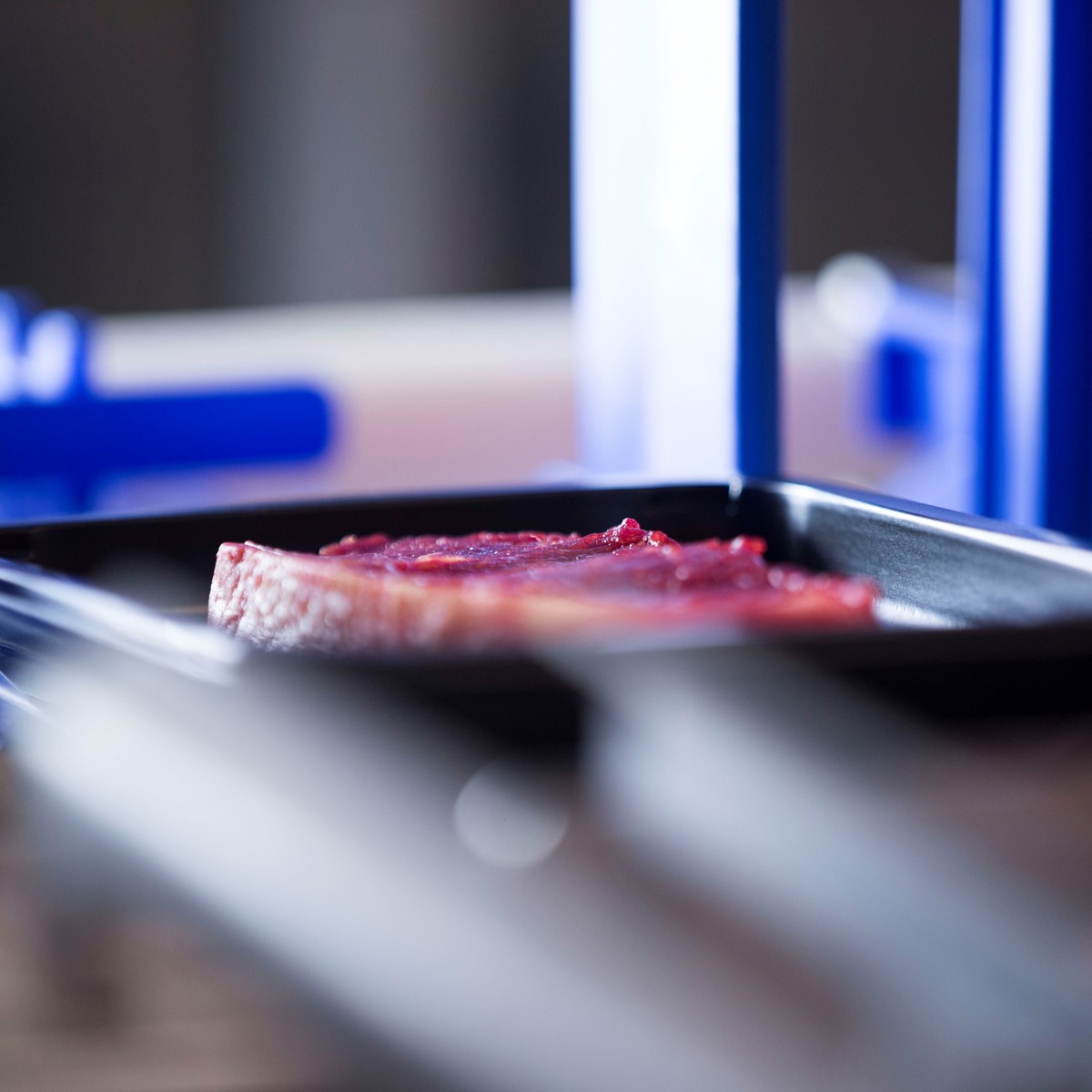 Packing and tray handling | Marel