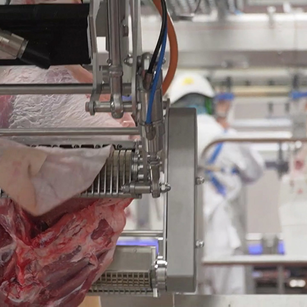 Top 7 benefits of automating pork cutting and deboning | Marel