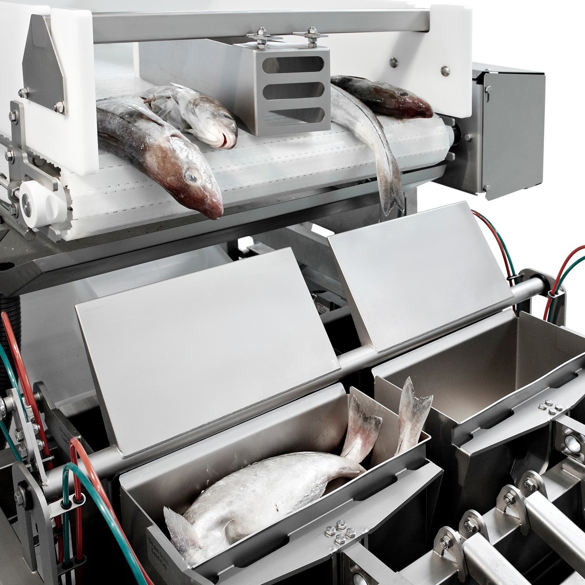 Fish processing systems and solutions | Marel