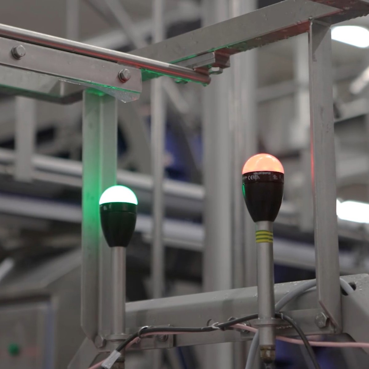 SensorX Infeed Monitoring benefits the entire fillet line | Marel