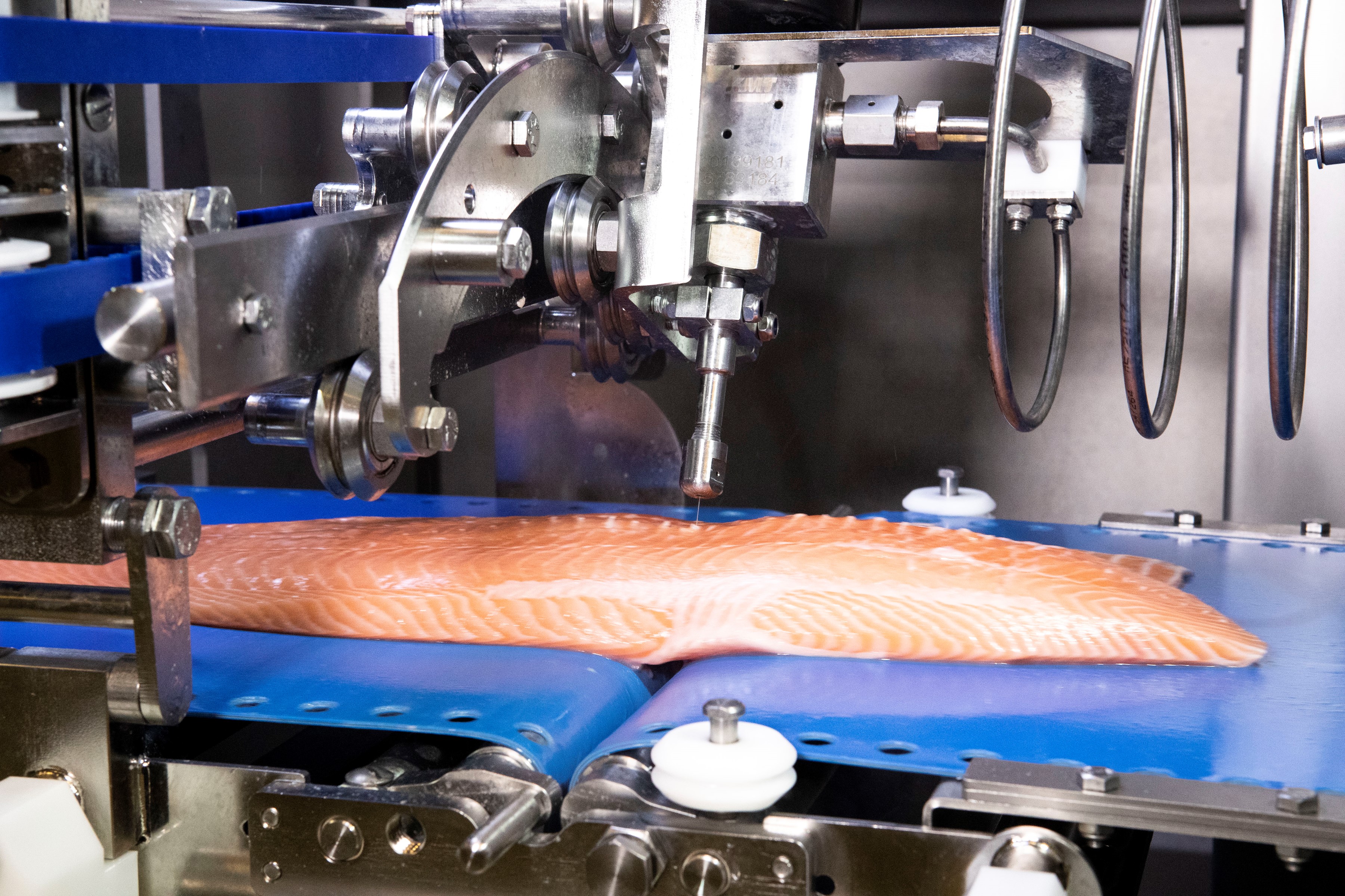 Pre-rigor pinboning at Bremnes Seashore | Marel