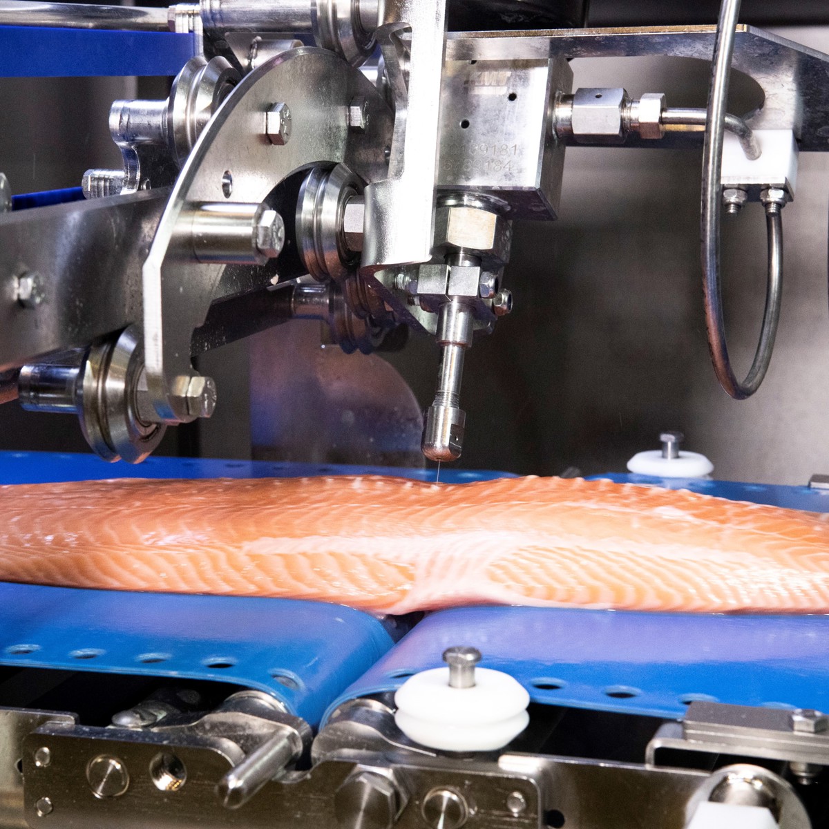 Pre-rigor pinboning at Bremnes Seashore | Marel