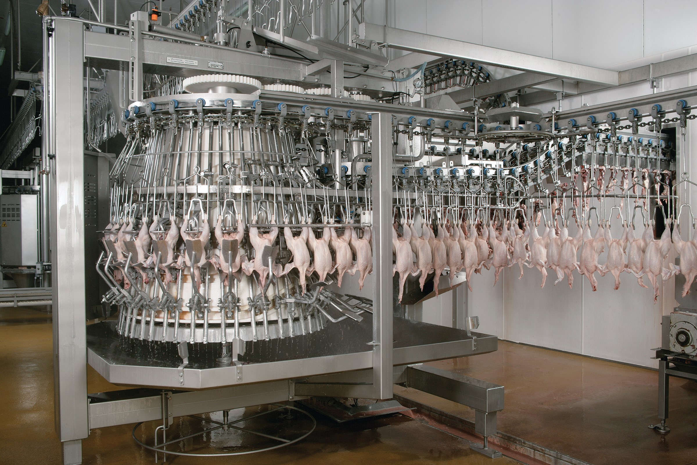 Nuova eviscerator - high performance poultry eviscerator | Marel