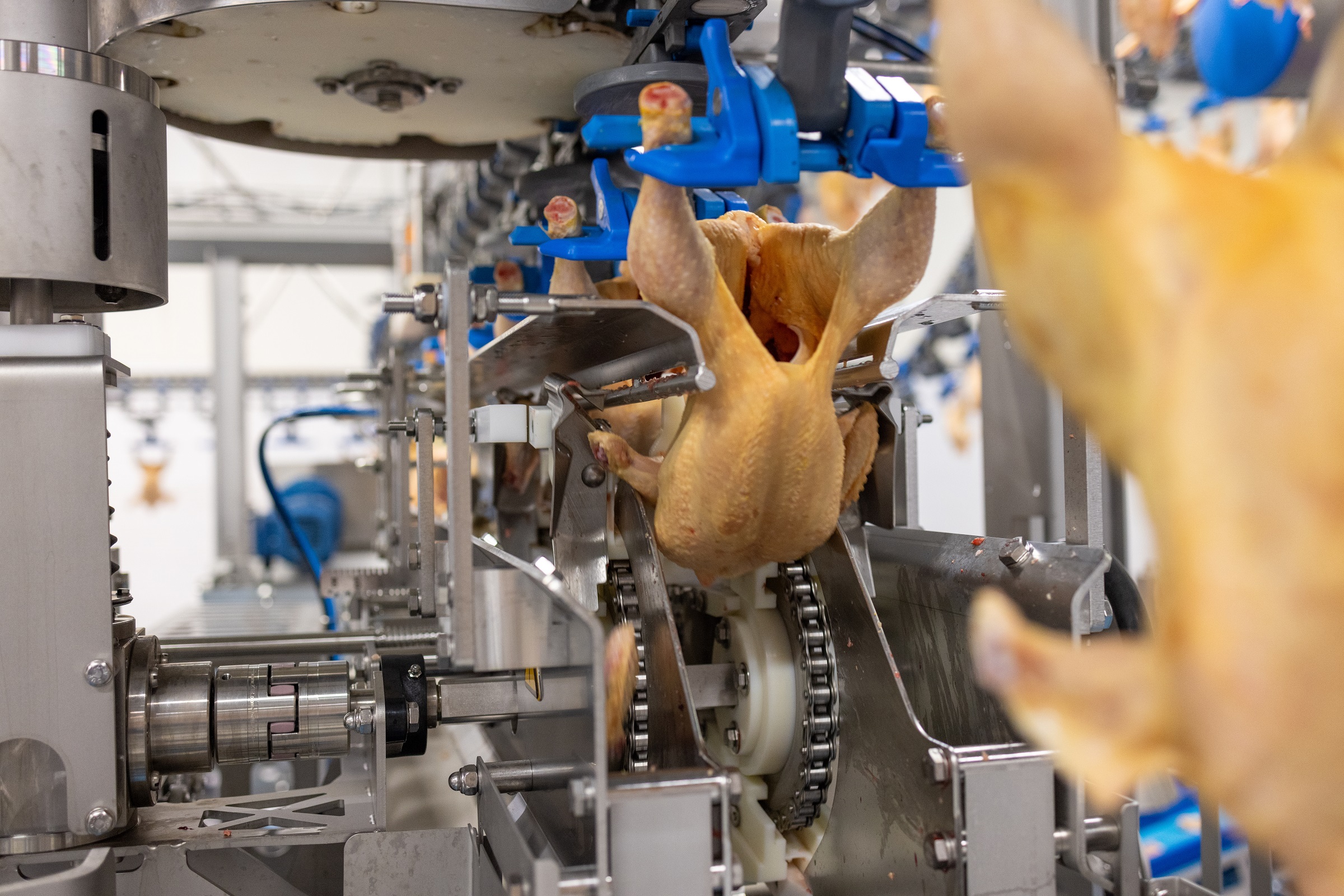 WingMaster second joint wing cutter | Marel