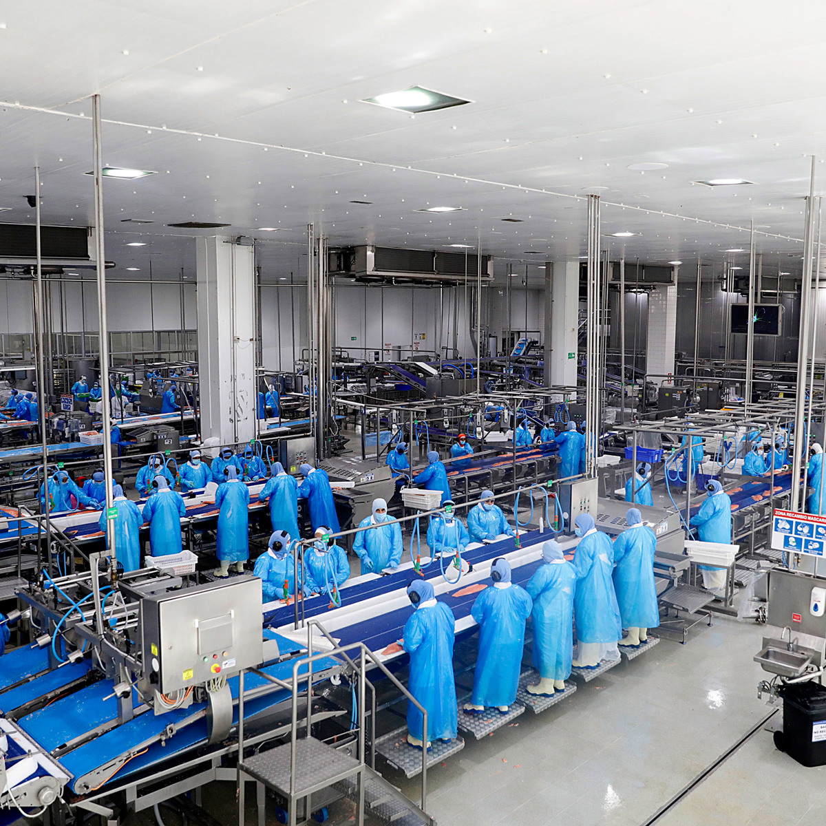 Camanchaca improves efficiency and adaptability | Marel