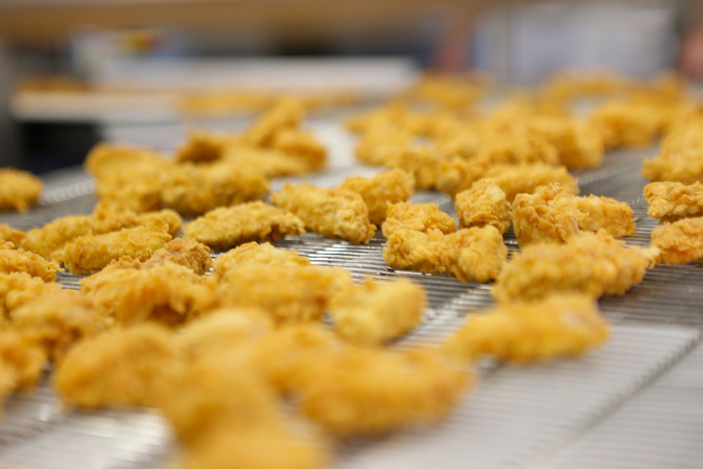 RevoBreader | Marel Fish | Marel