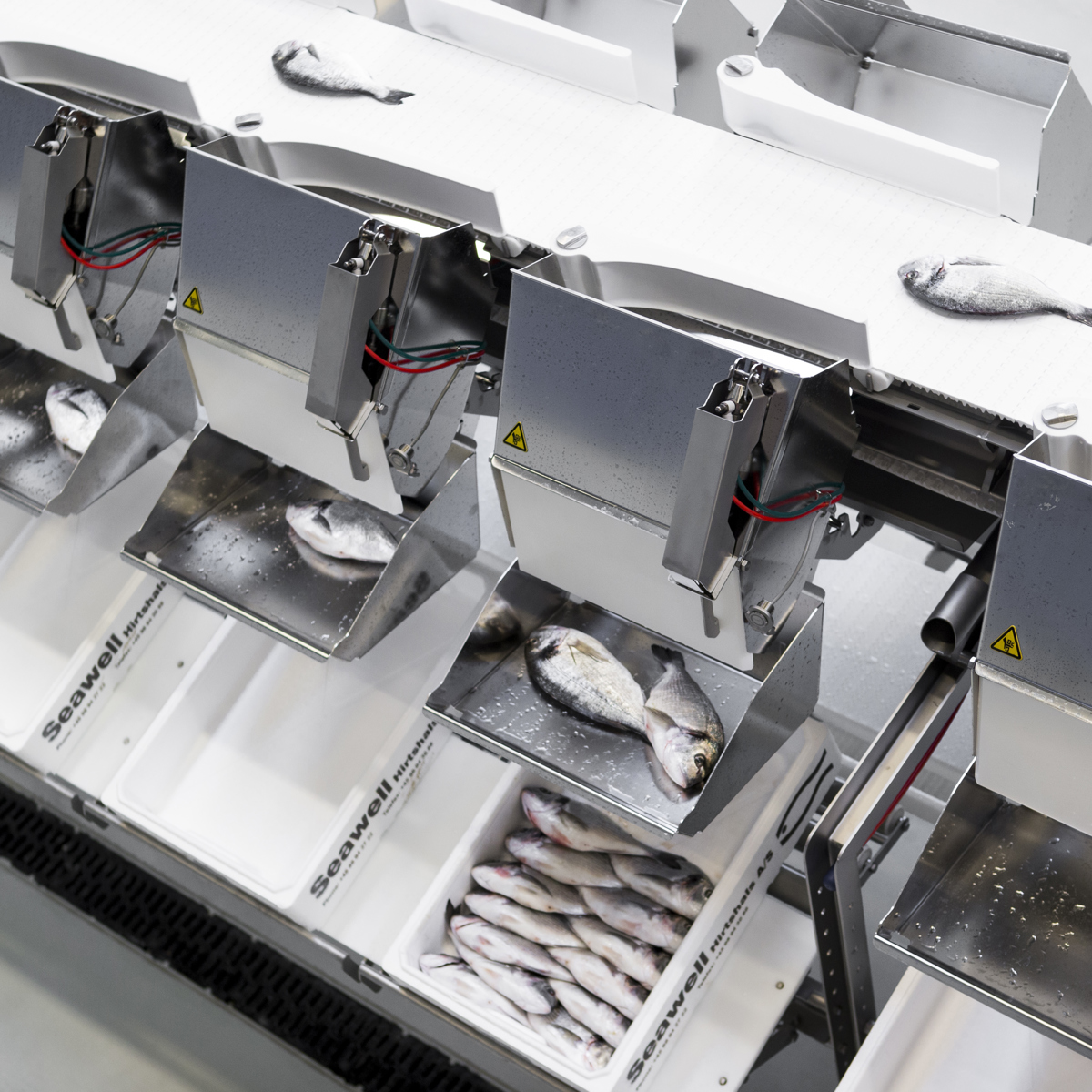 Grading and batching in seafood processing | Marel