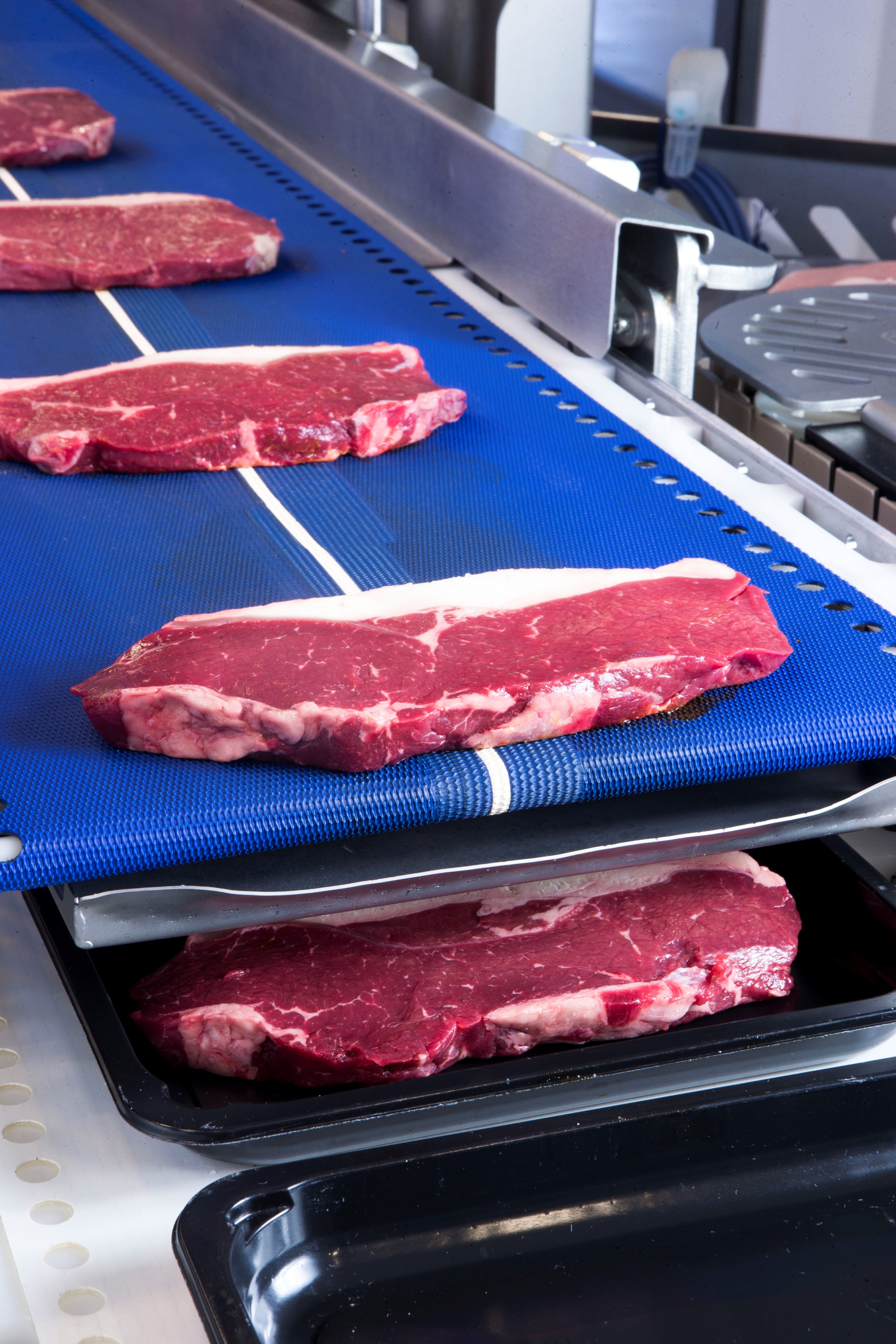 Whole Muscle Steak Lines | Marel