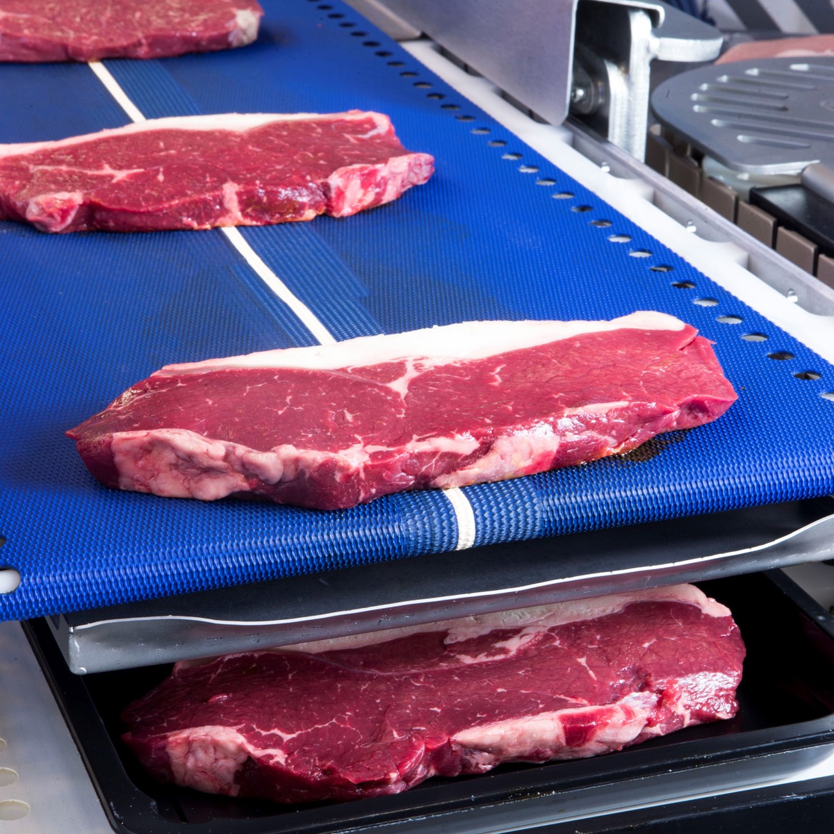 Whole Muscle Steak Lines | Marel