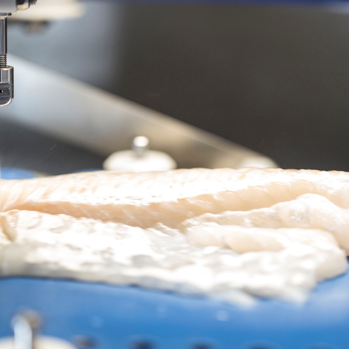 Futuras Oportunidades con FleXicut | Marel