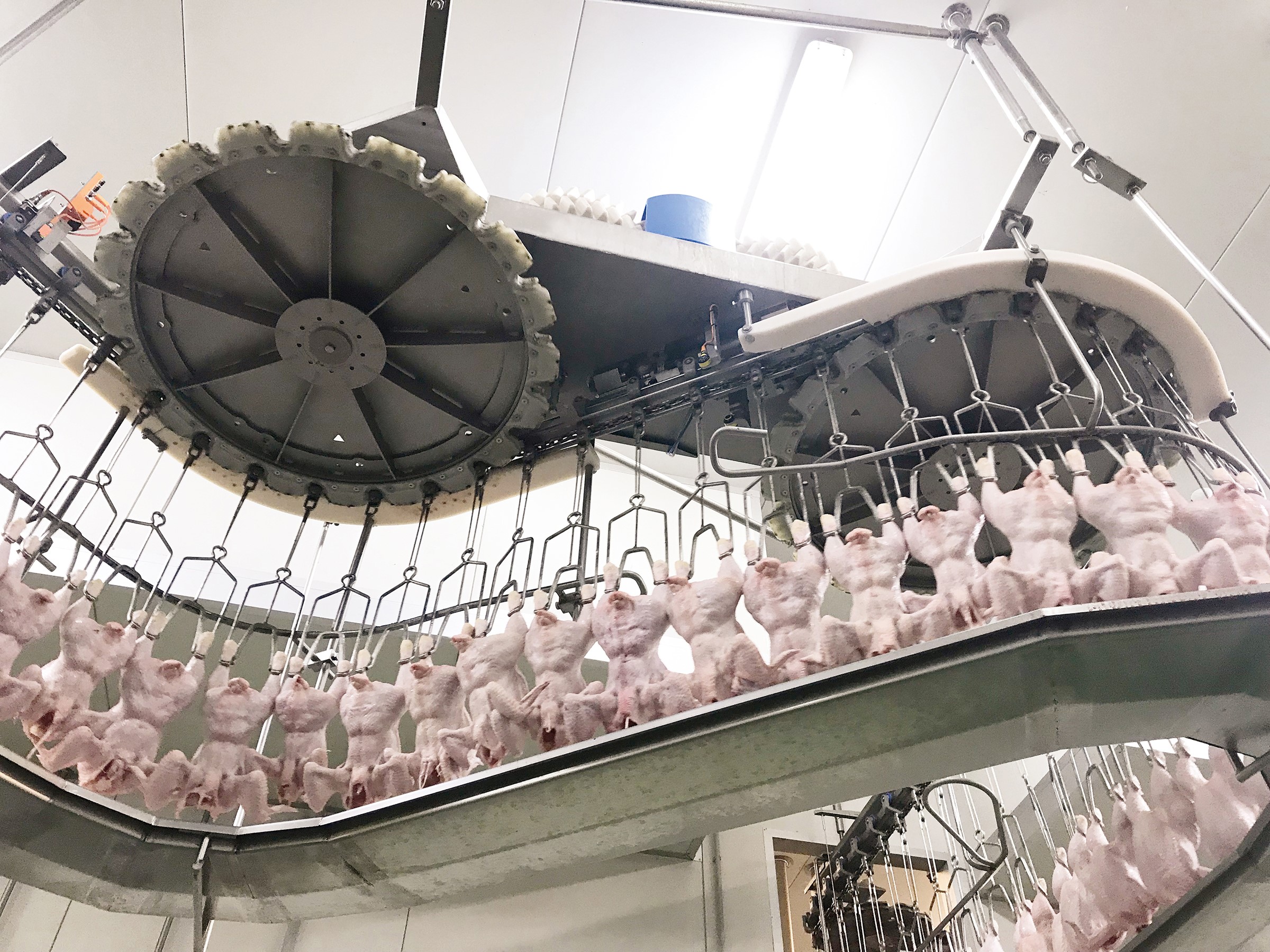 SmartWeigher EV | Marel