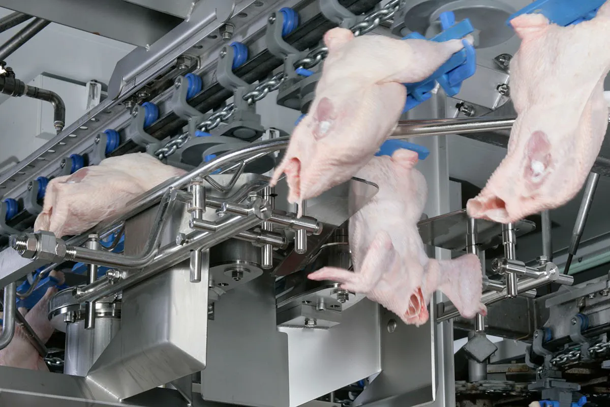 Front/Back Half Cutting Module | Marel