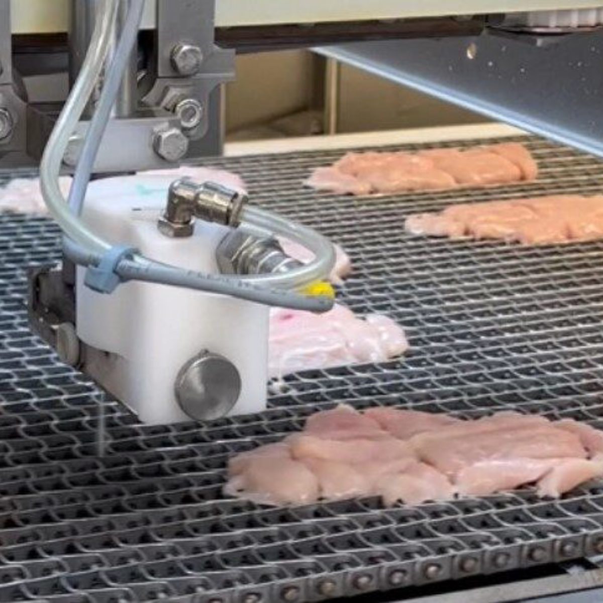 DSI Waterjet Portioning System | Marel