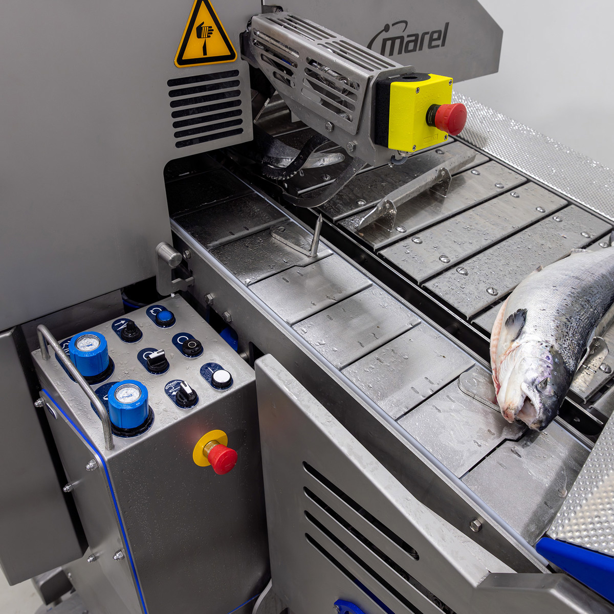 How does a deheader optimize salmon filleting? | Marel