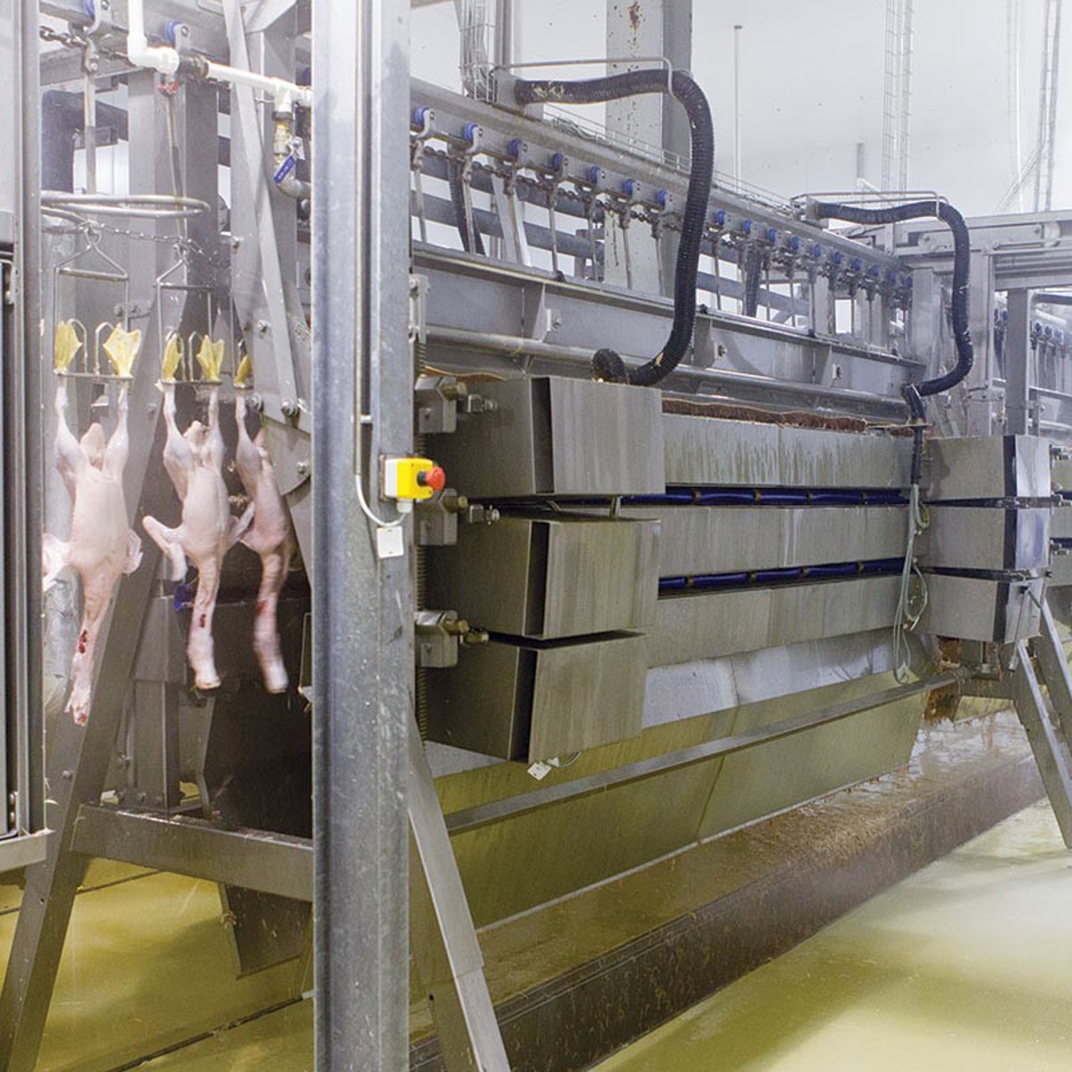 Pluckers (Pickers) | Marel