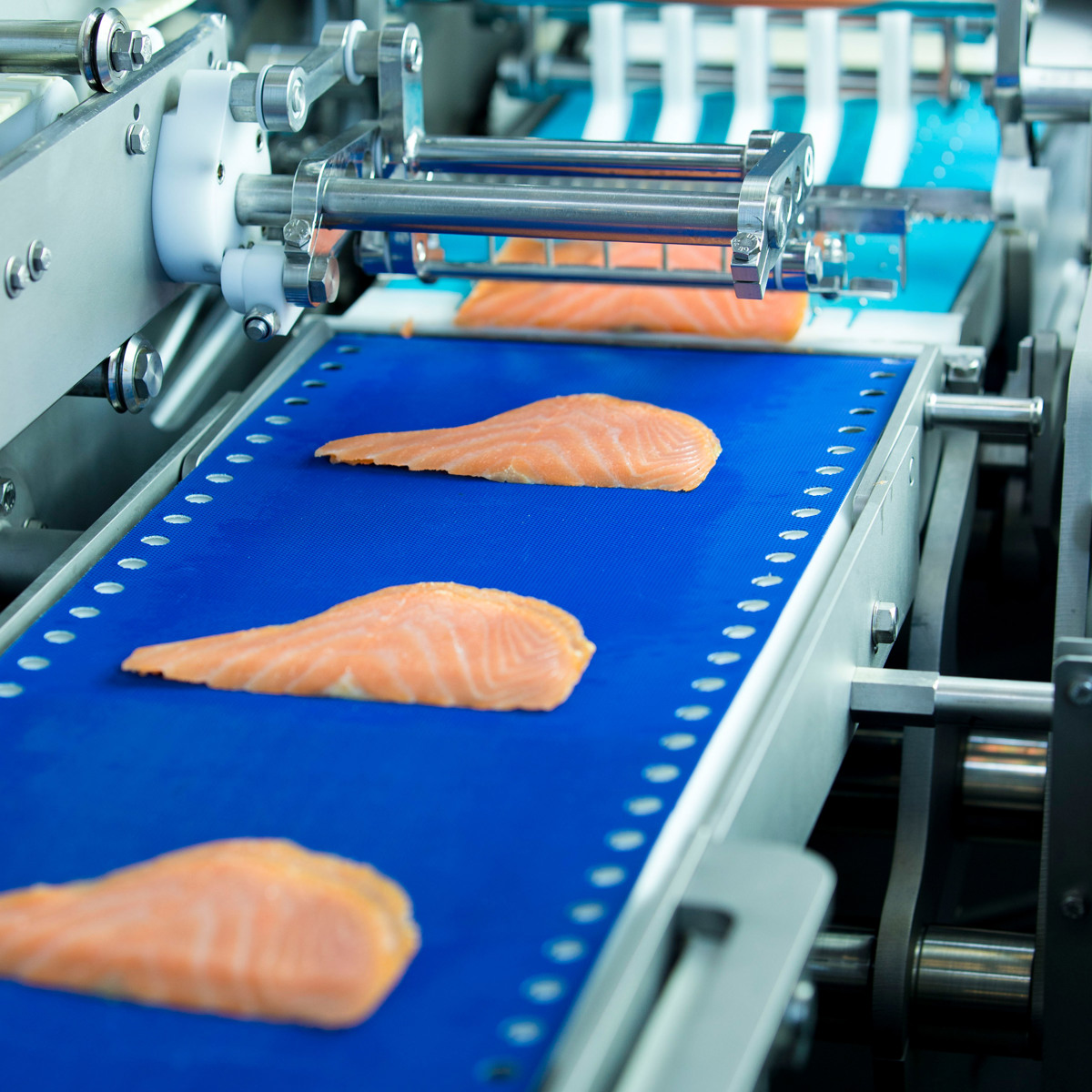 Solución de software de rebanado de salmón | Marel