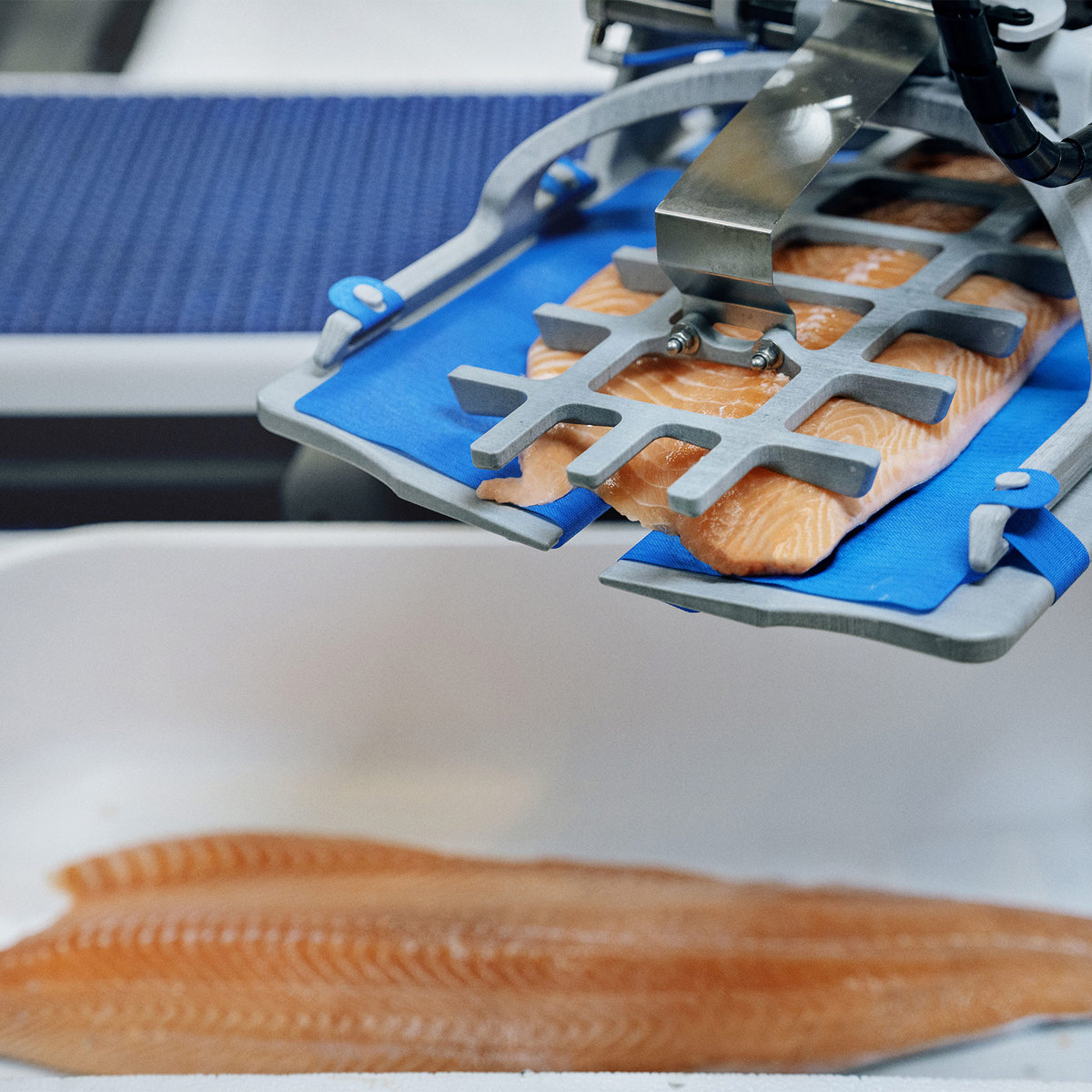 Marel launches the new RoboBatcher Box | Marel