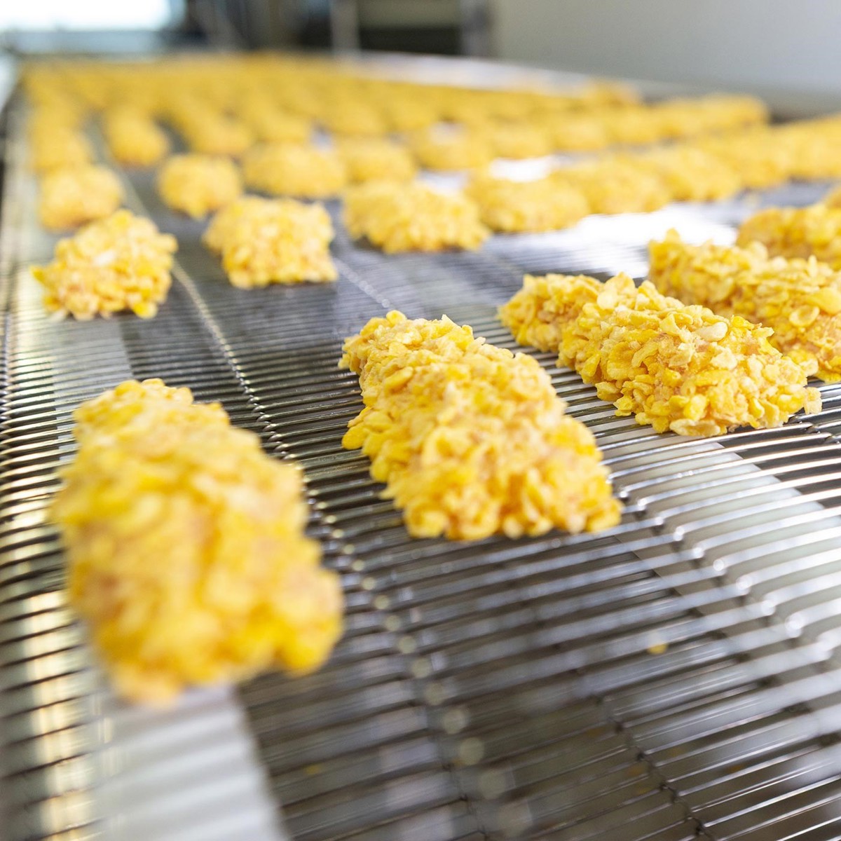 Coating solutions for plant-based products | Marel