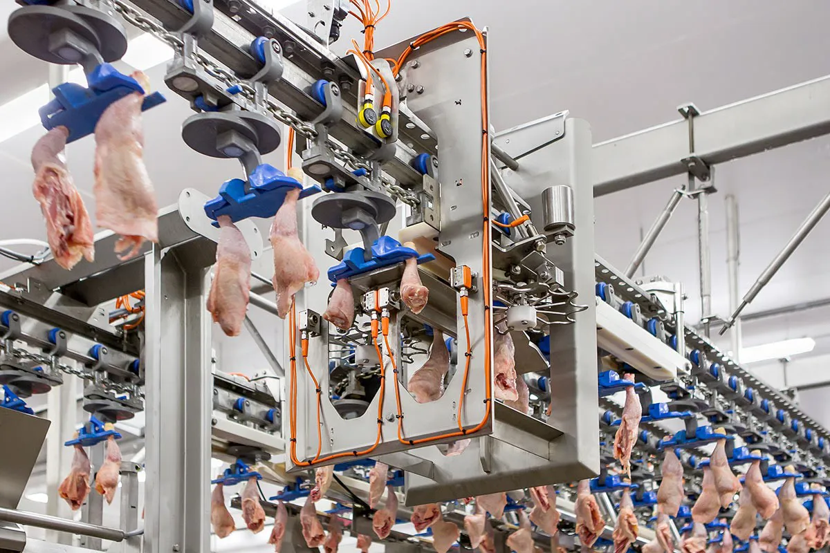 Fixed-Weight Overhead Leg Batching | Marel