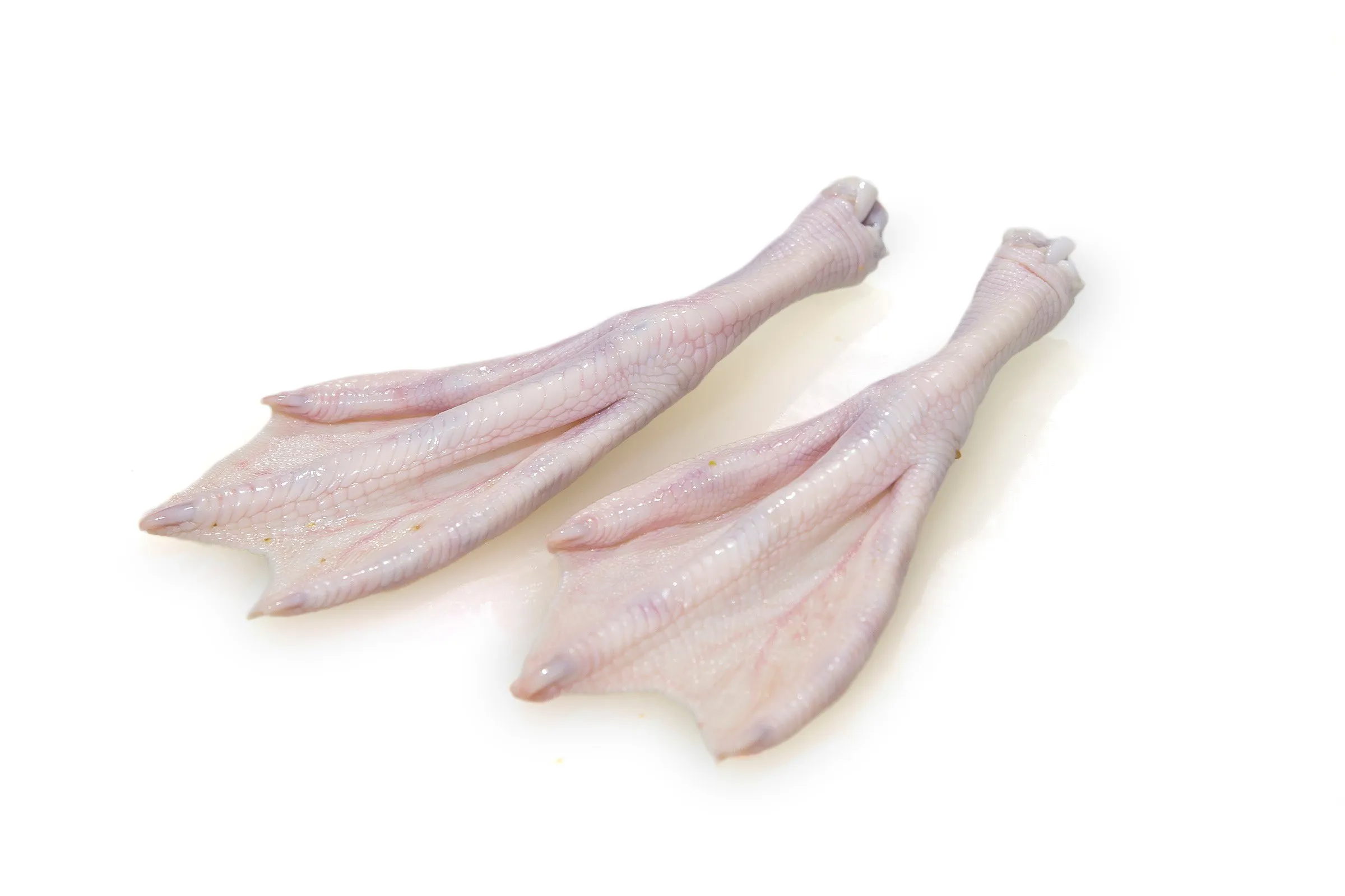 Duck feet processing system | Marel