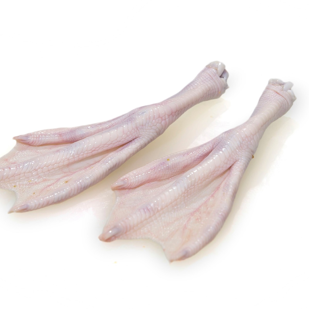 Duck feet processing system | Marel