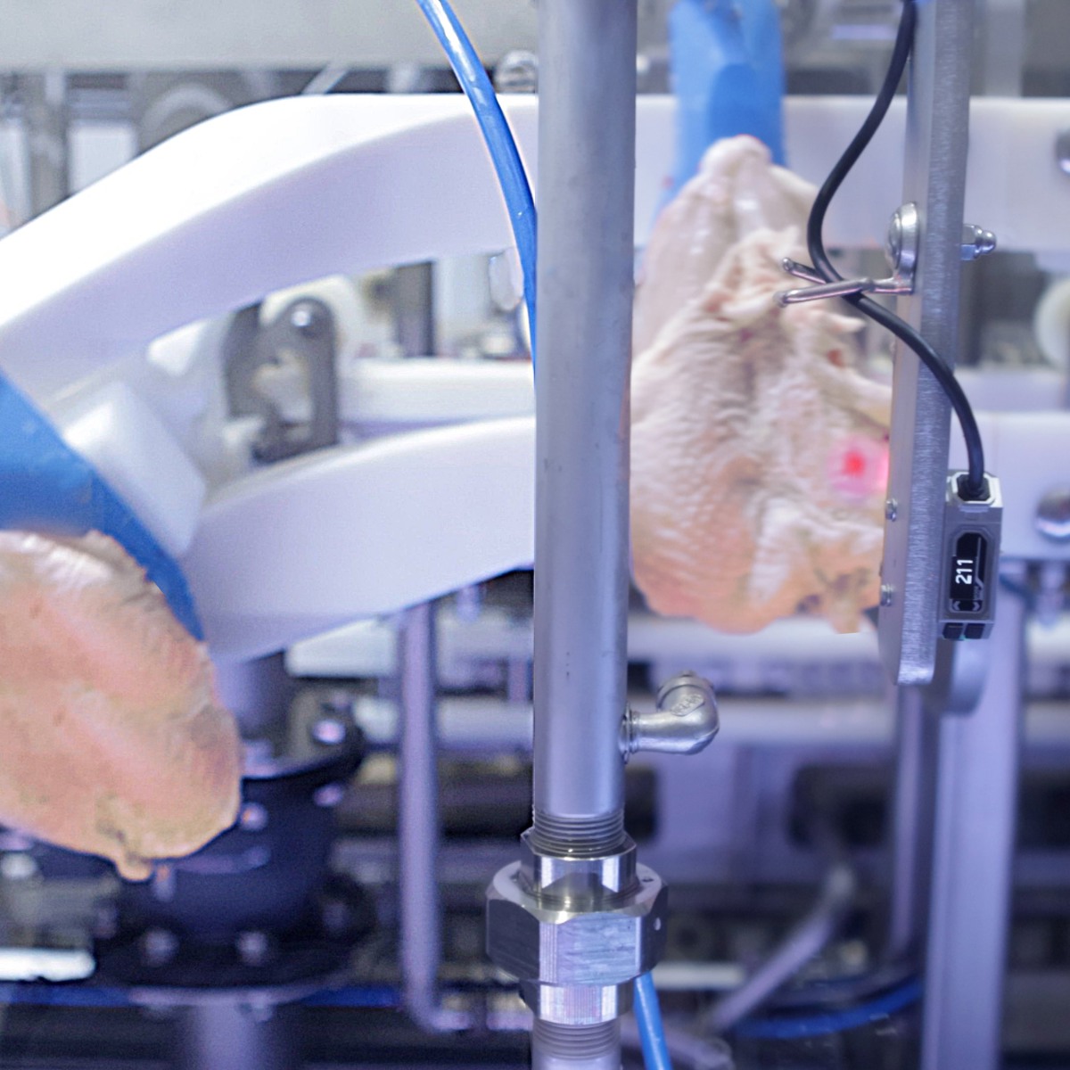 Breast deboning | Marel