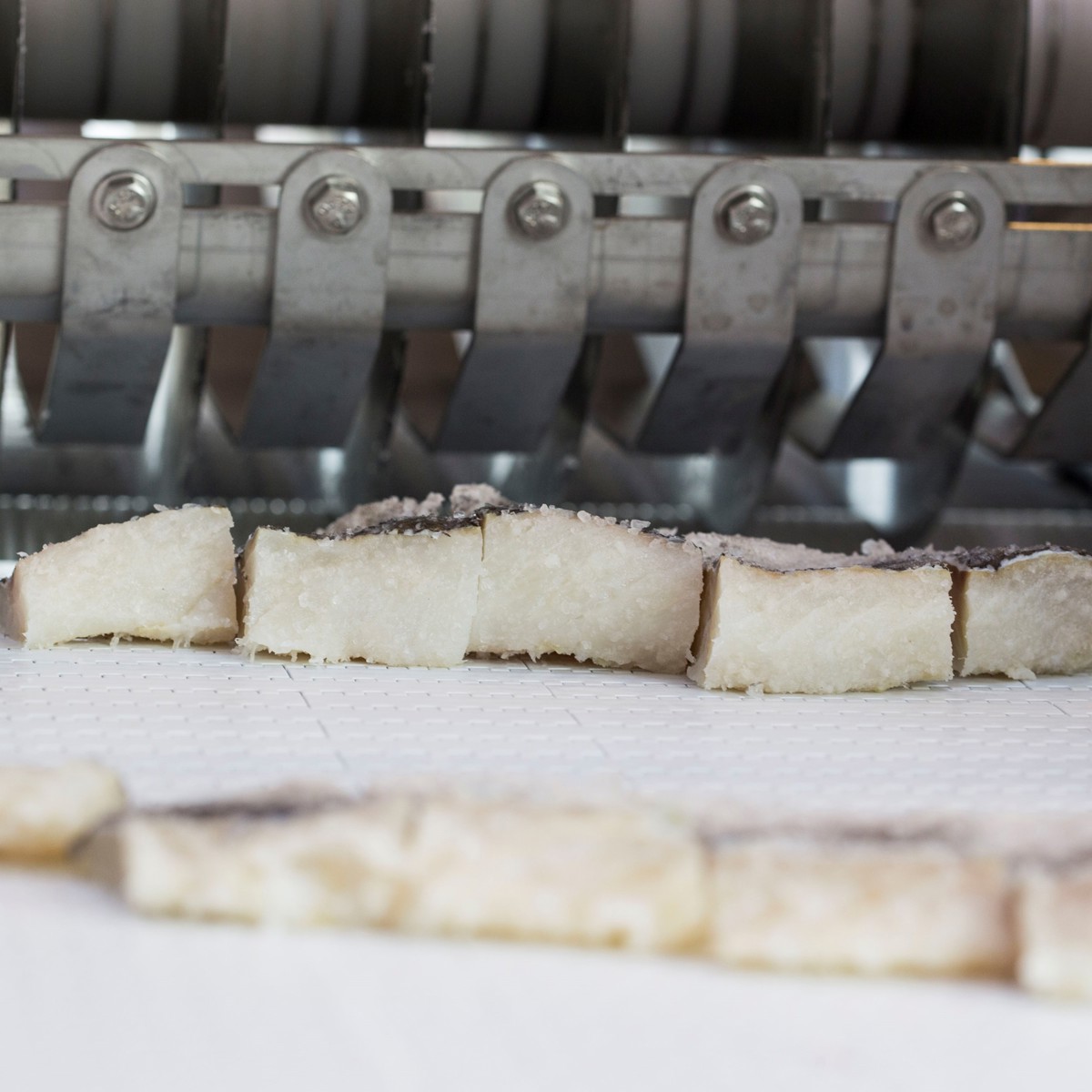 StripCutter Whitefish | Marel Fish | Marel