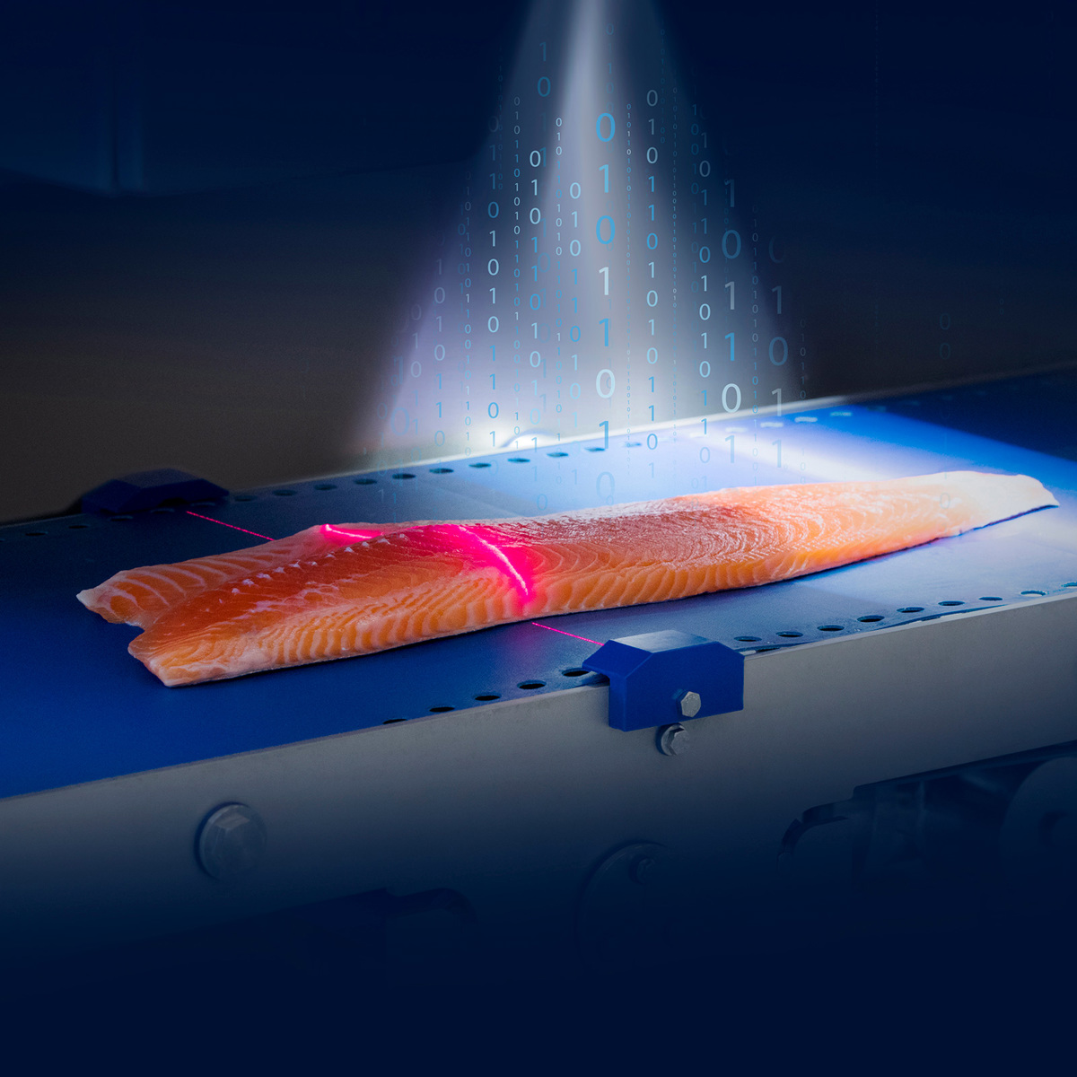 5 Tech innovations reshaping salmon processing in 2025 | Marel