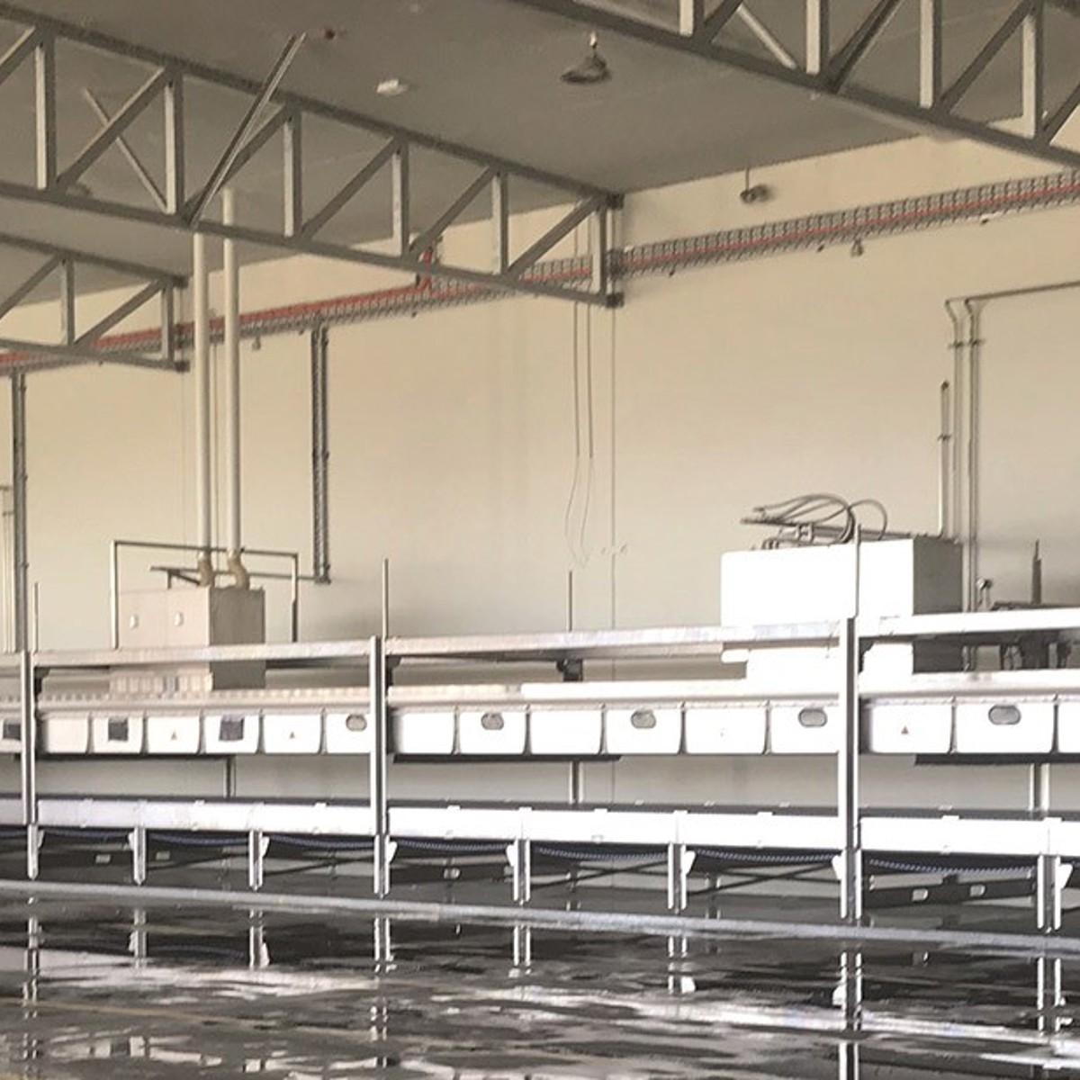 Primer sistema ATLAS en Australia | Marel