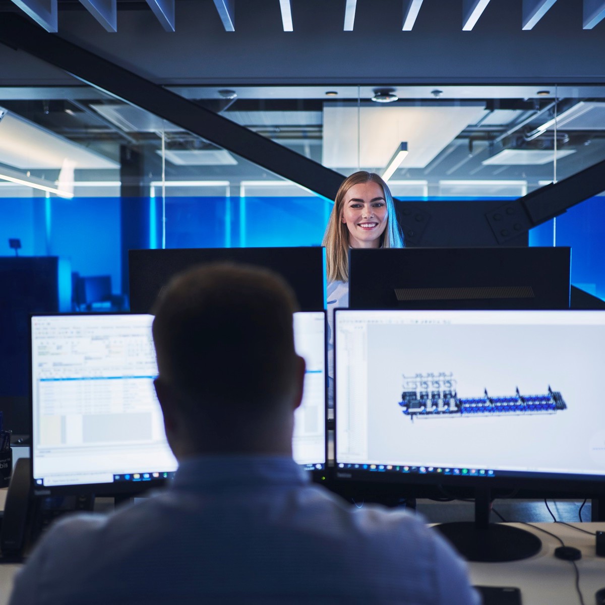 Marel Software Onsite System Inspection | Marel