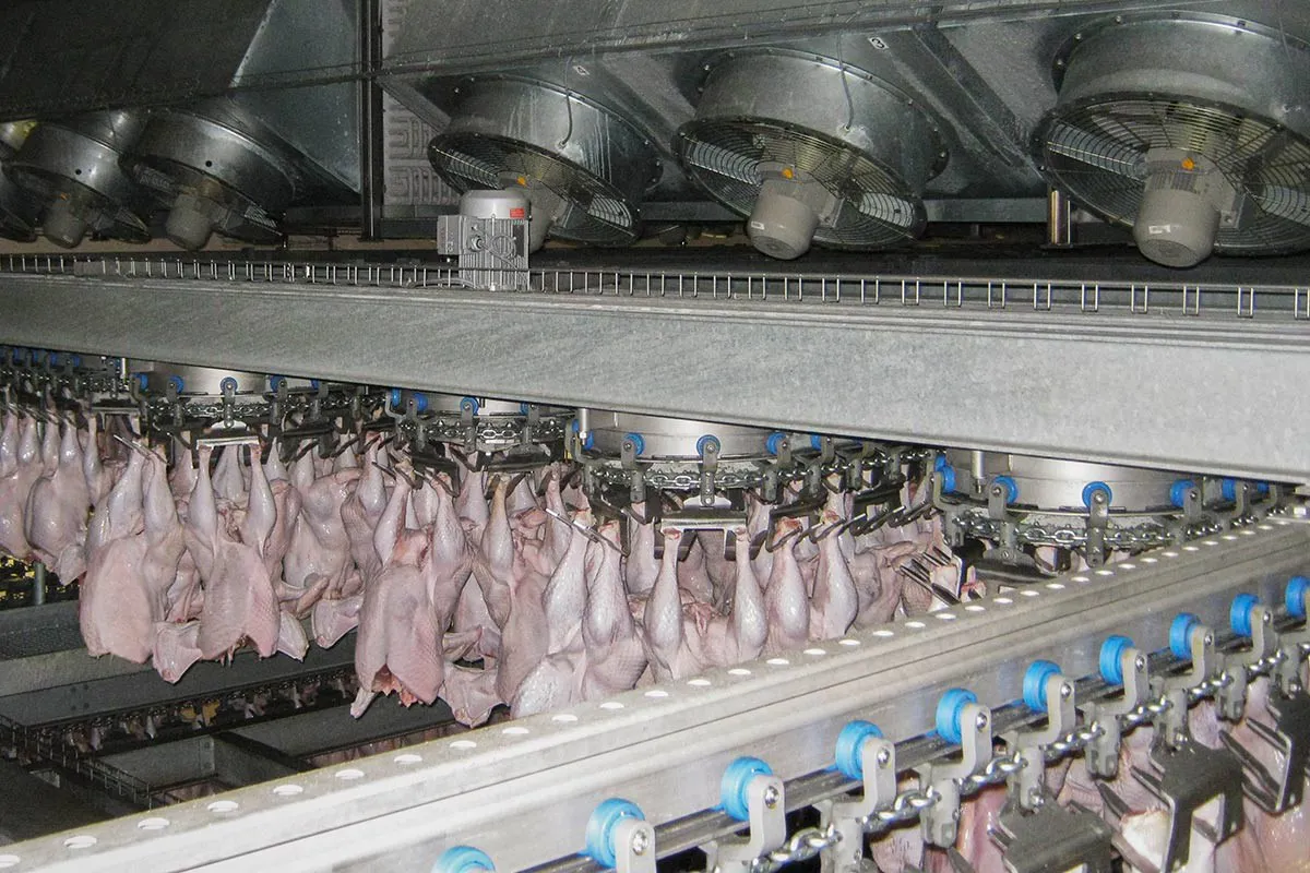 DownFlow Plus Shock Pre-Chiller | Marel