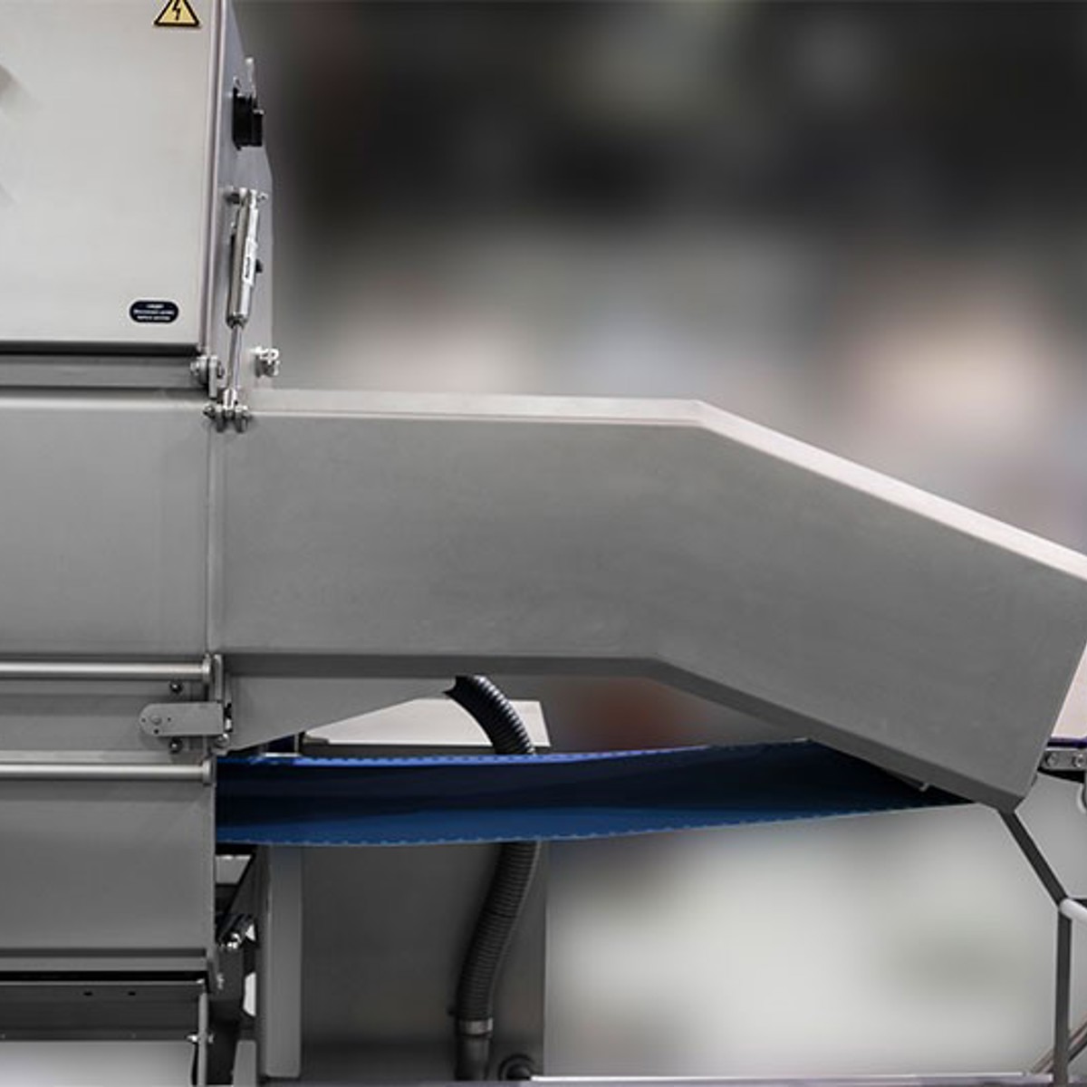 Bone detection in fish processing | Marel