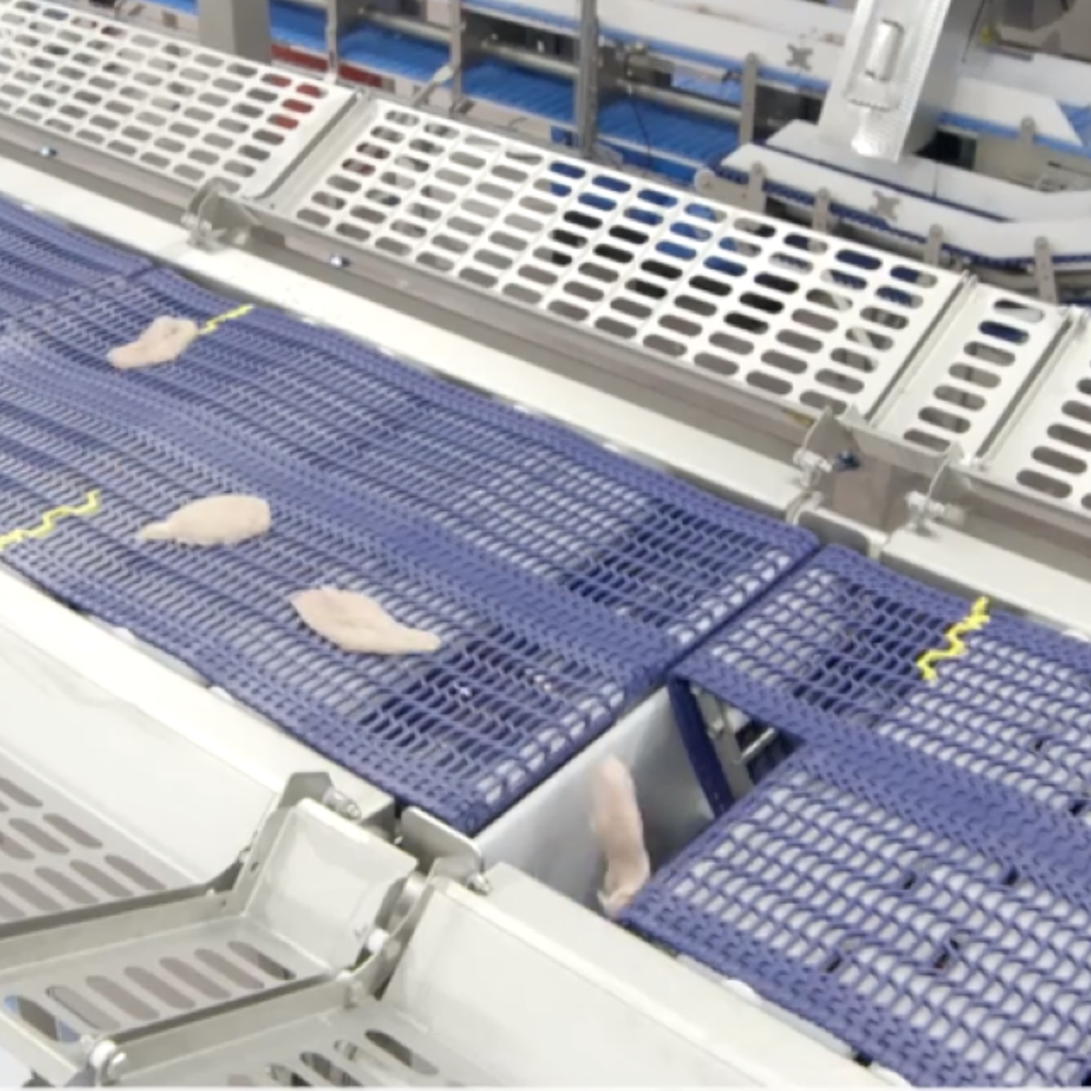 SensorX SmartSort | Marel Poultry | Marel