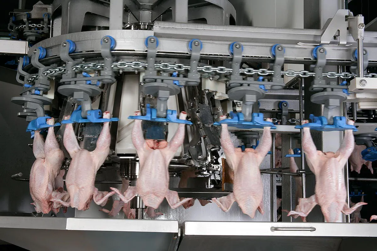 Leaf fat removing module FRX-NT | Marel