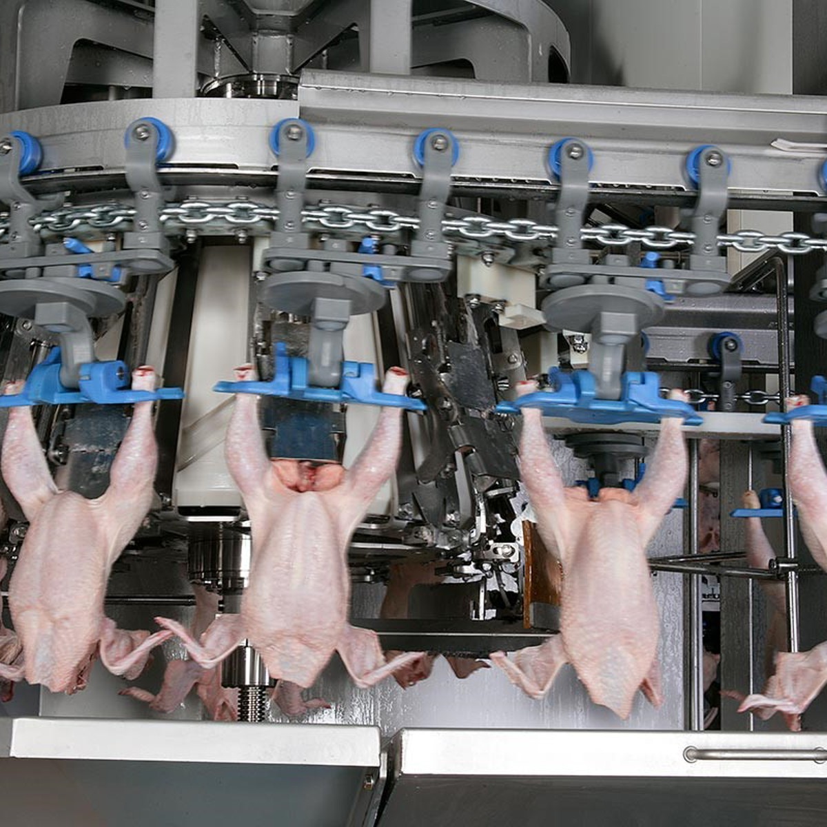 Leaf fat removing module FRX-NT | Marel