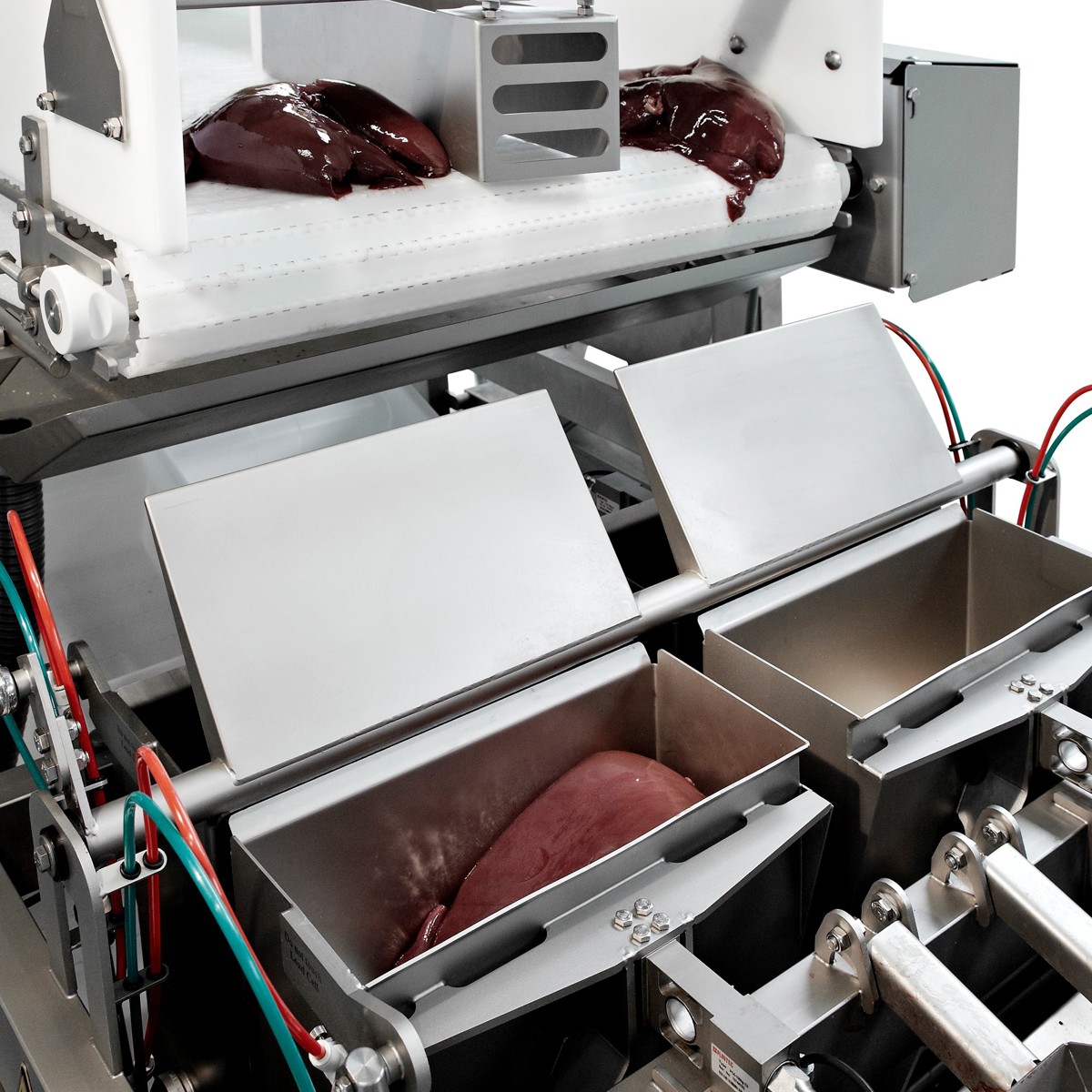 Cattle By-Product Packing Systems for Meat Processing | Marel