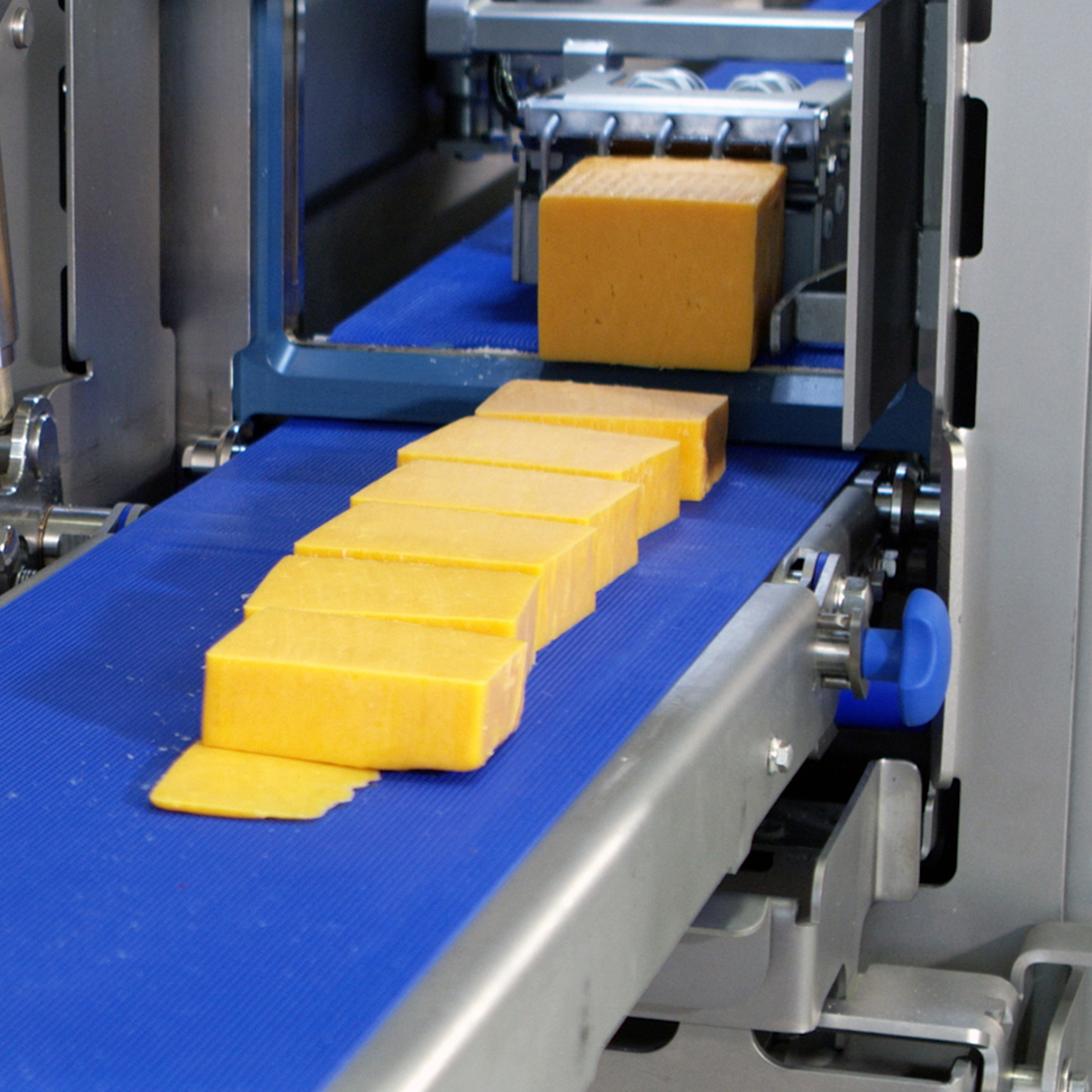 Cheese portion cutting | Marel