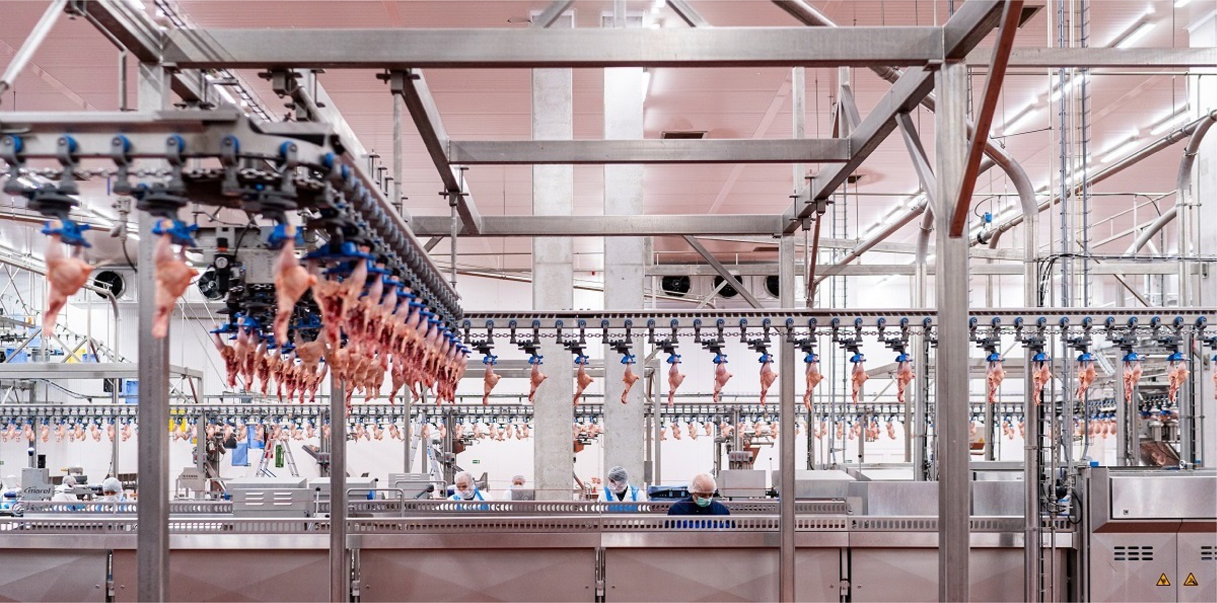 Vodnanska Drubez renews secondary poultry process | Marel