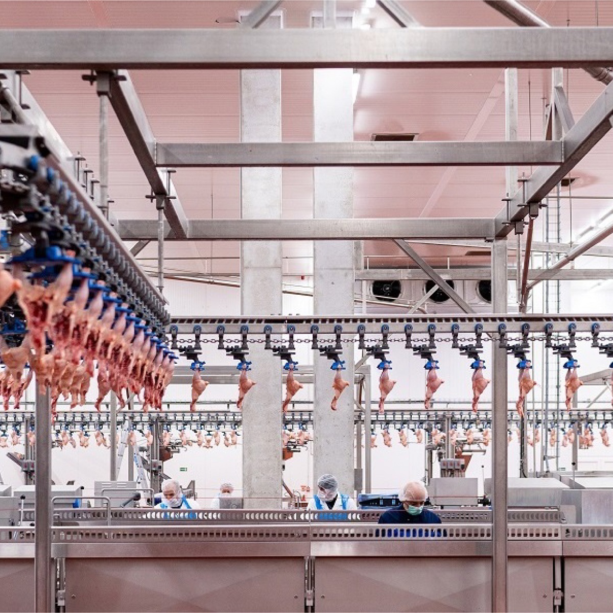 Vodnanska Drubez renews secondary poultry process | Marel