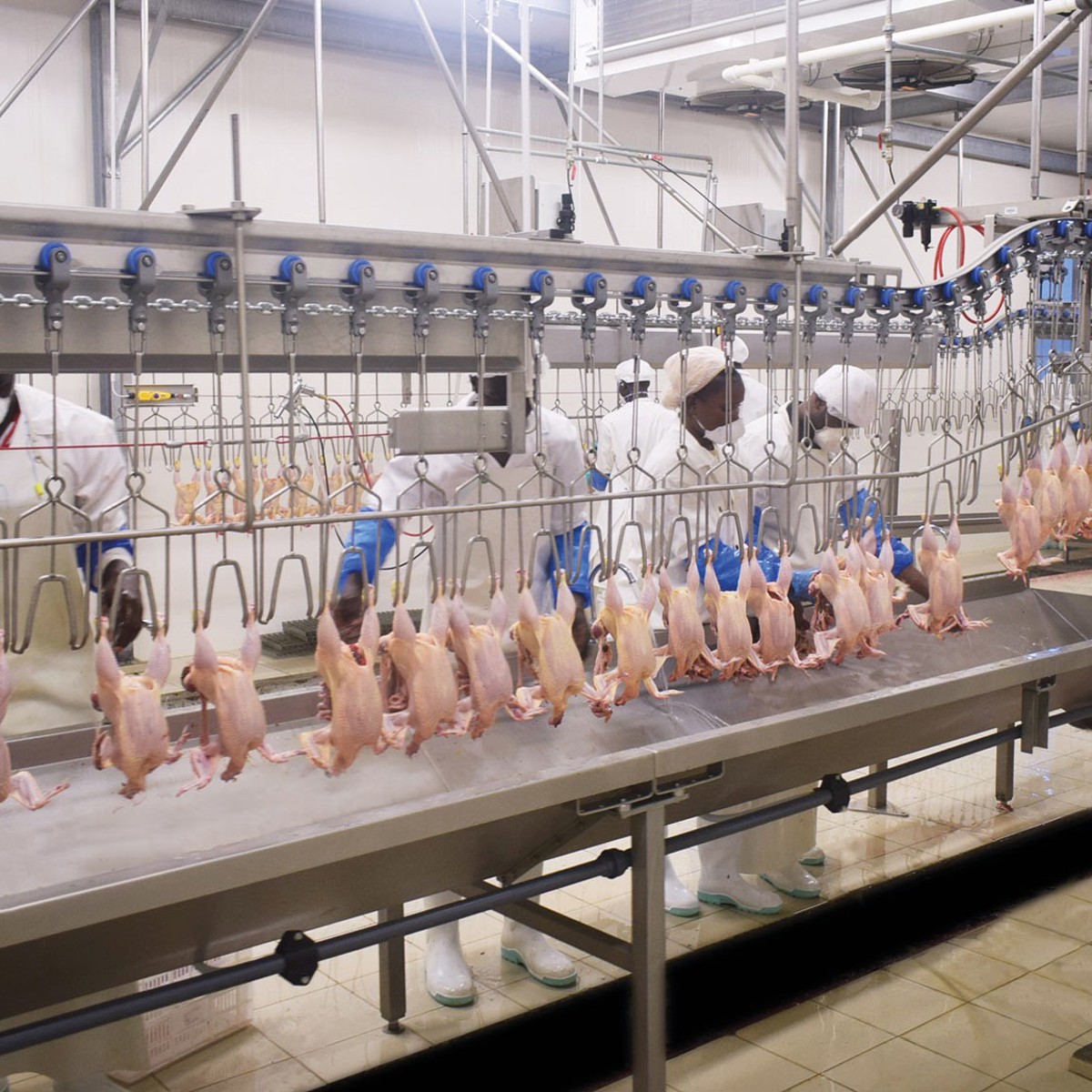 Sedima meets the highest standards | Marel