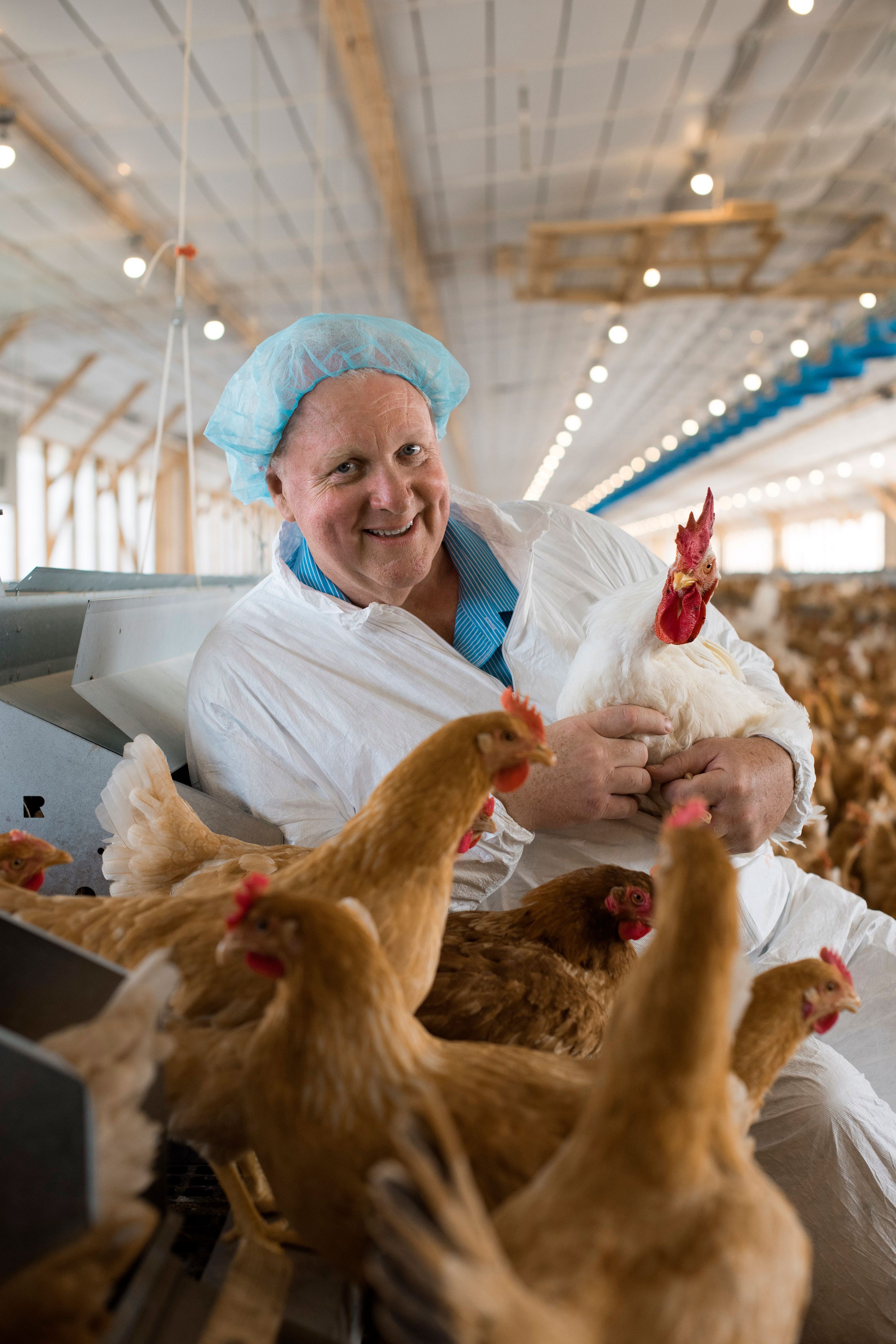 ACM-NT modular cut-up system for ducks | Marel