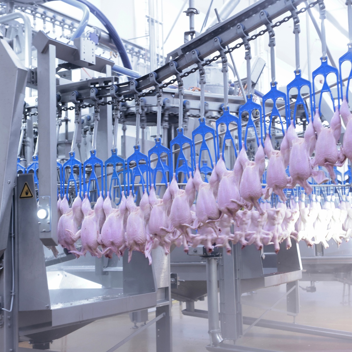 VC-i - the world's first intelligent vent cutter | Marel