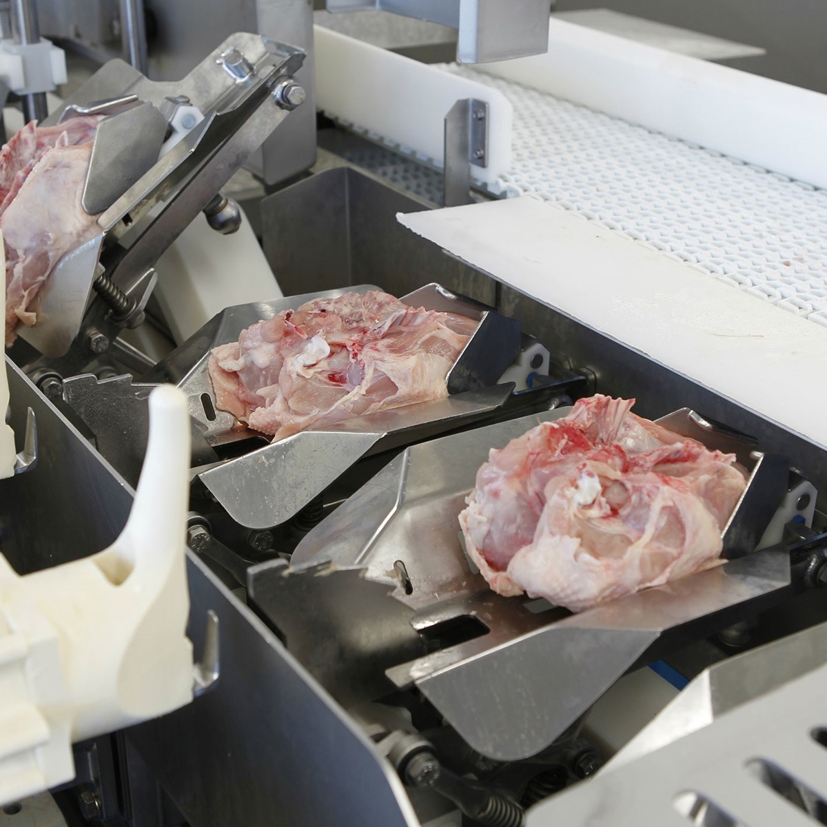 Labor shortage advances automation | Marel