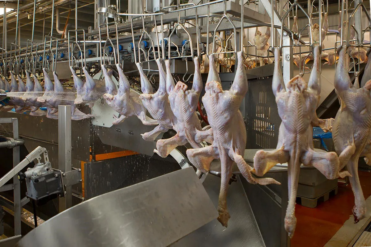 TP-T Three-Point Suspension System | Marel