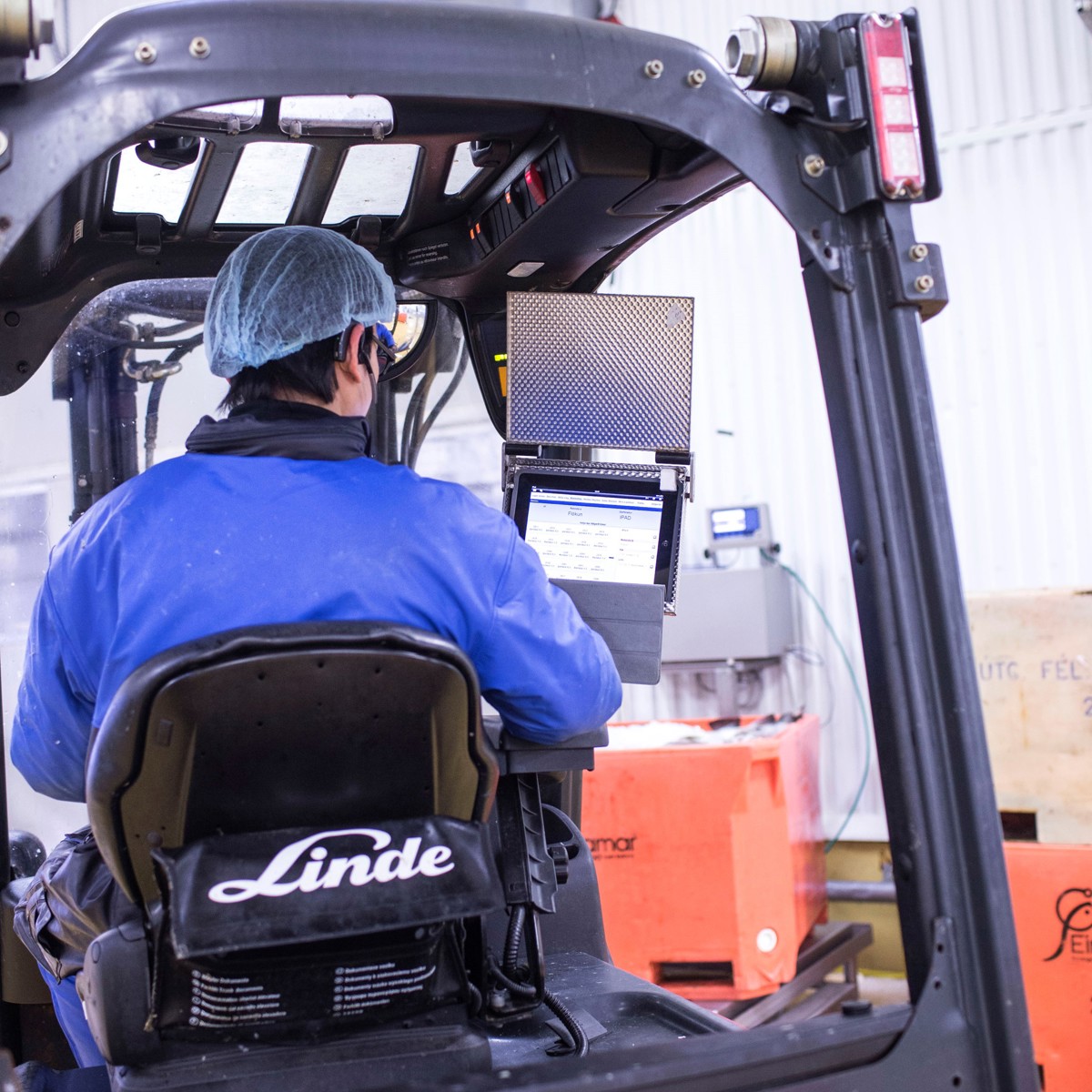 Primary processing | Marel - Intelligent fish processing | Marel