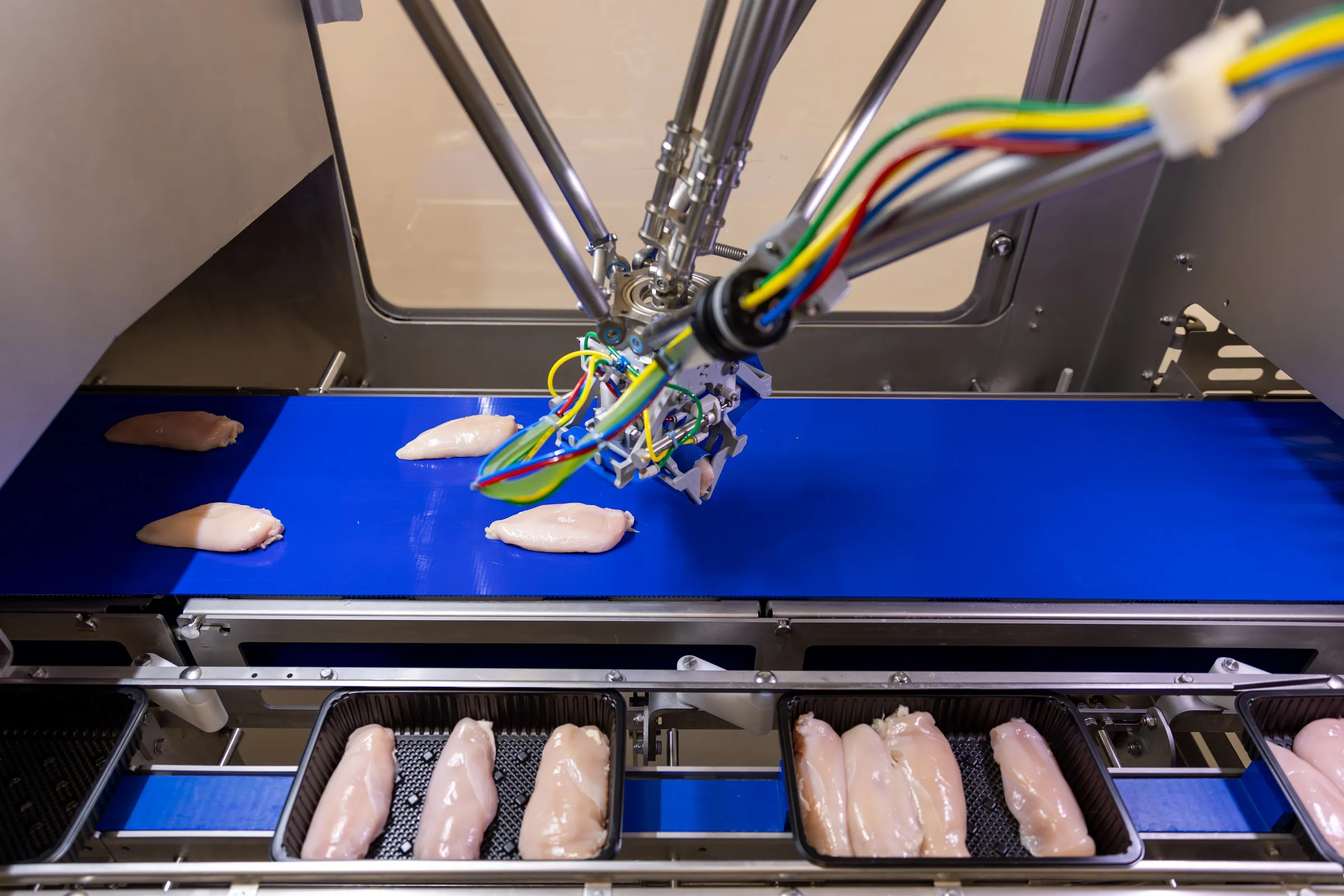 Robopacker automates catch-weight tray packing | Marel