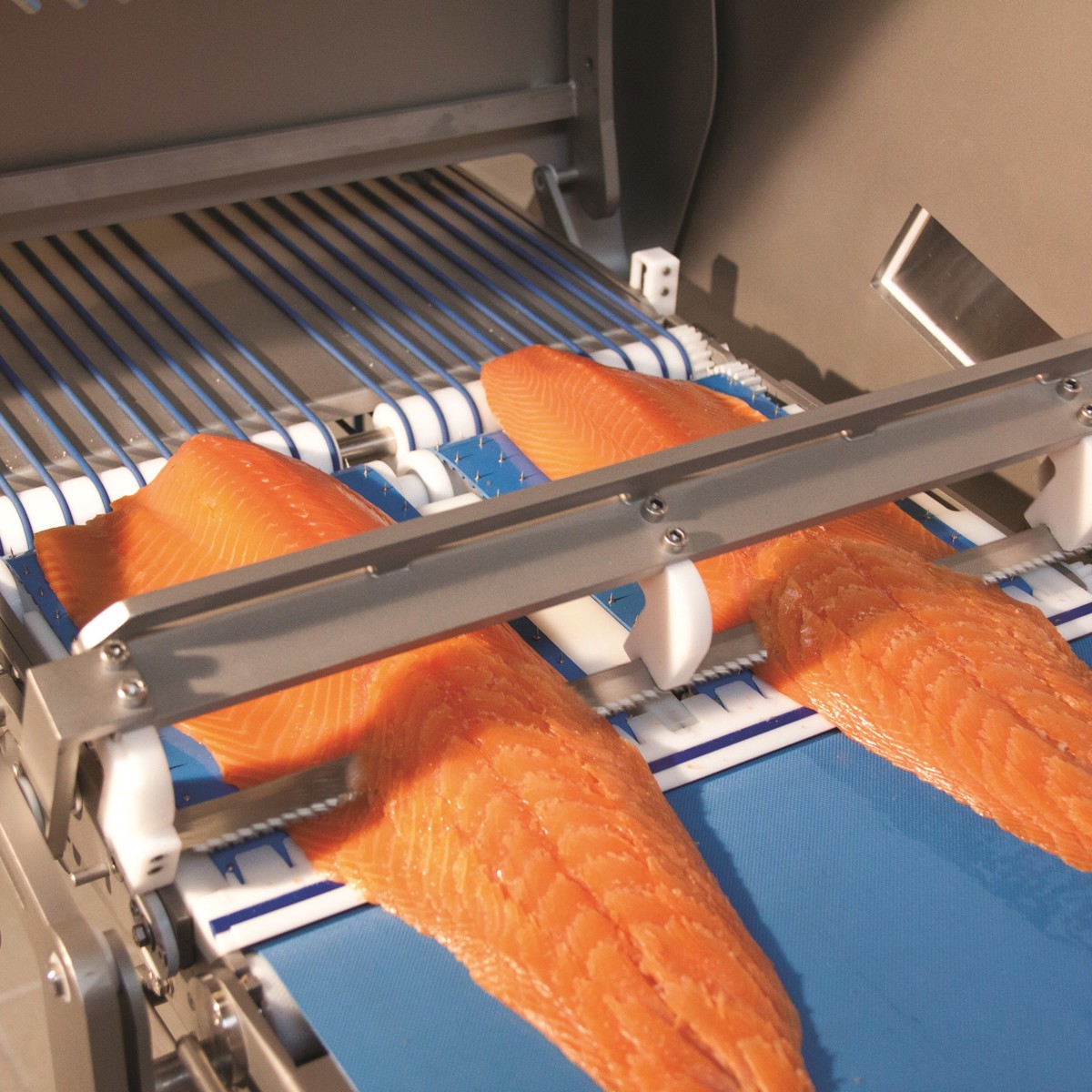 Salmon slicing | Marel