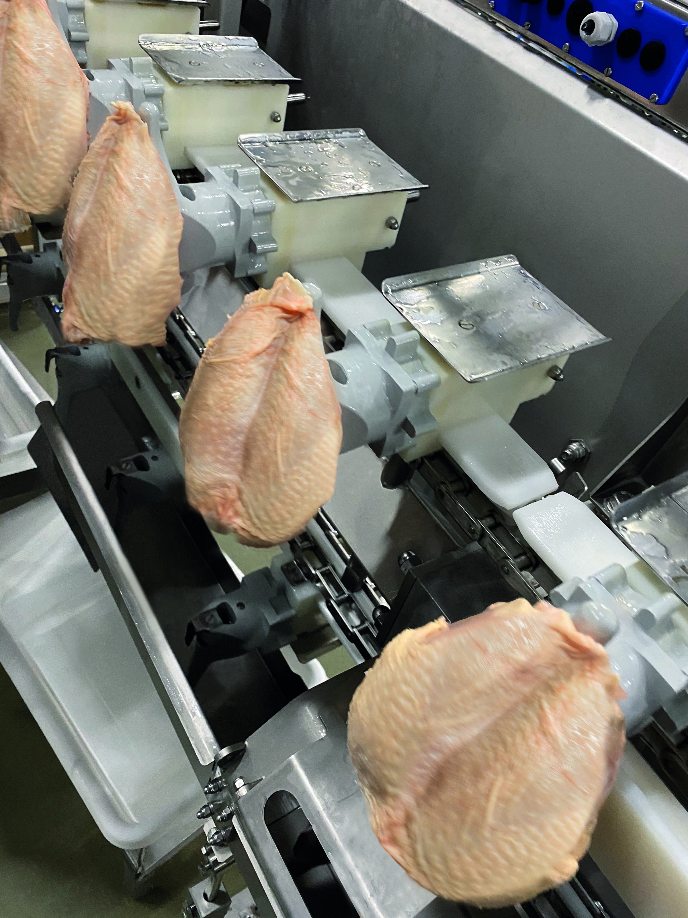 Costco - Successfully deboning large chicken breasts with AMF-i | Marel