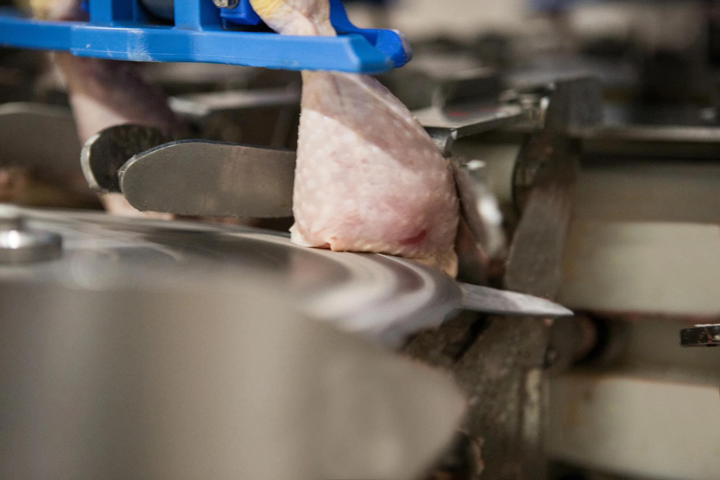 Drumstick cutting modules | Marel