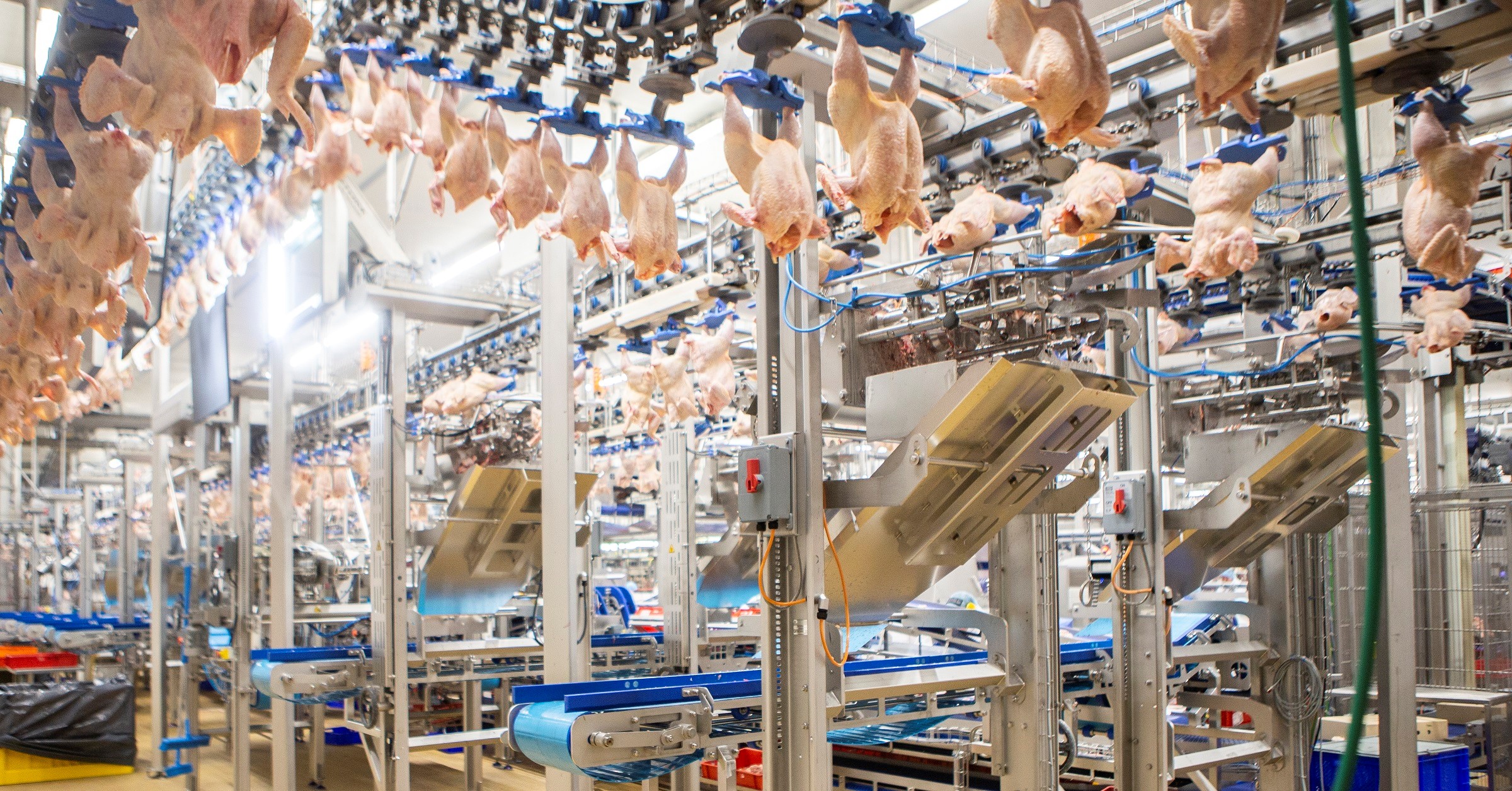 Automation gains ground in Brazil | Marel